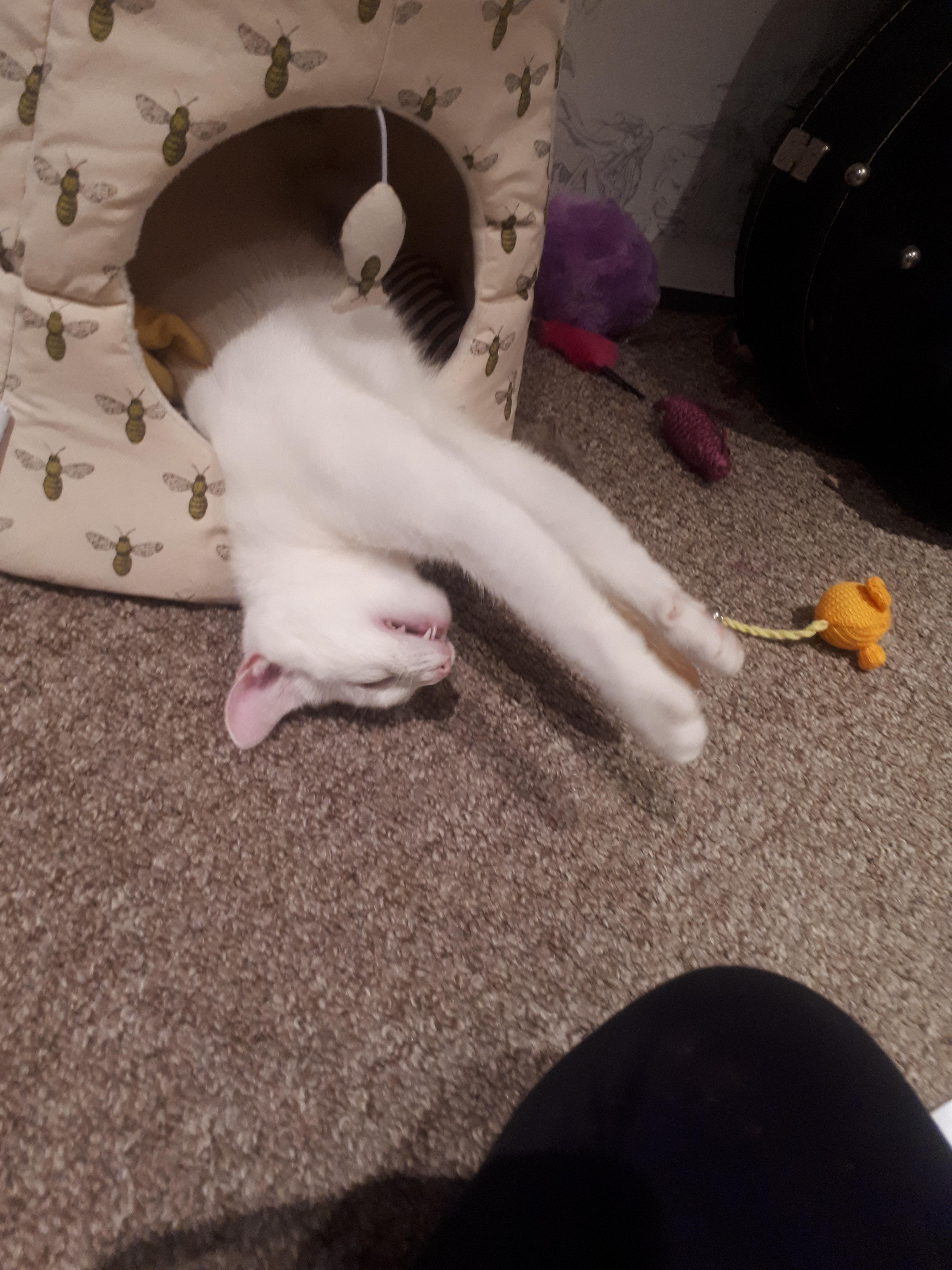 Upside-down scrunge! | Scrolller