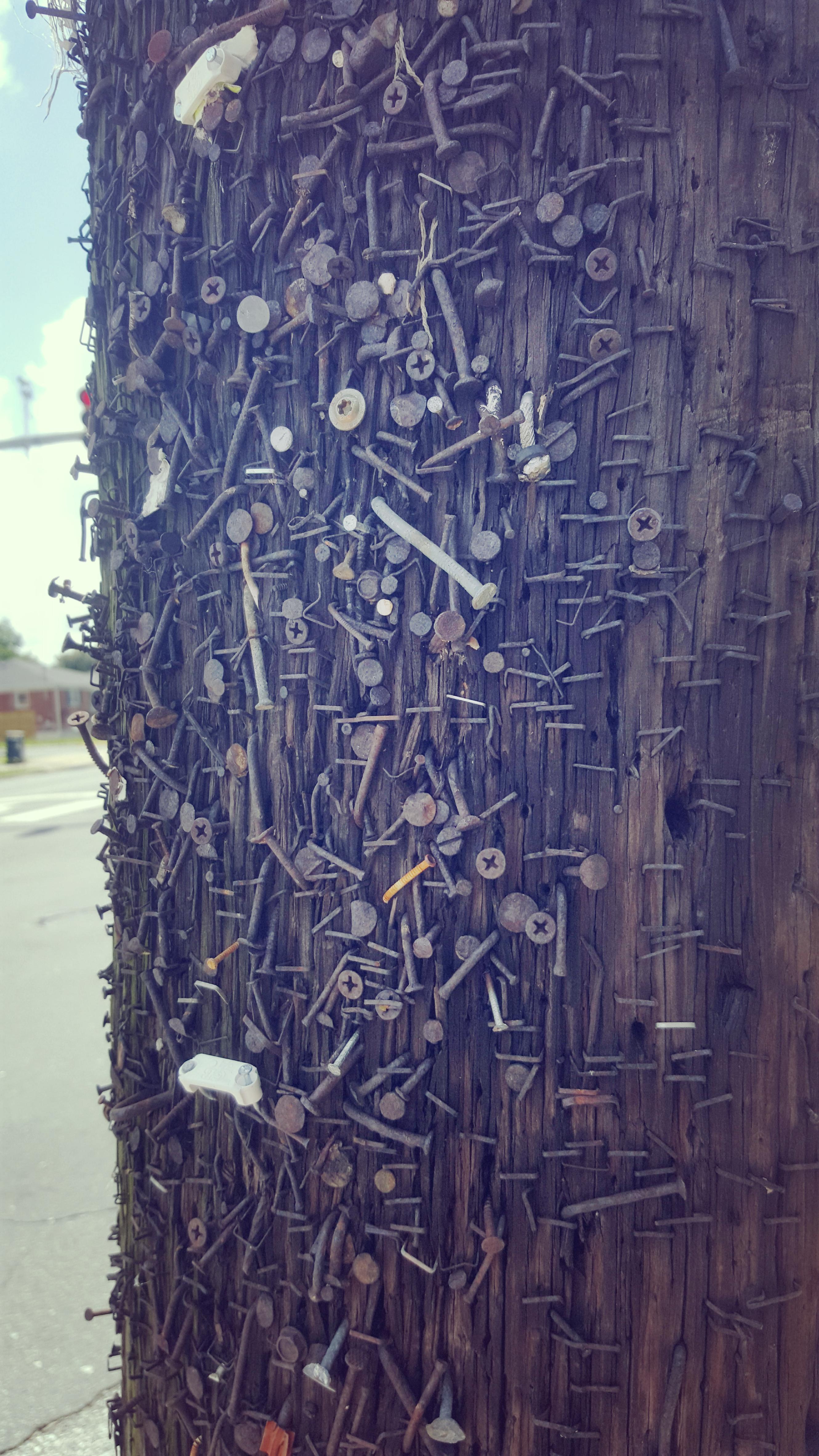 Utility pole shows evidence of years of flyers | Scrolller