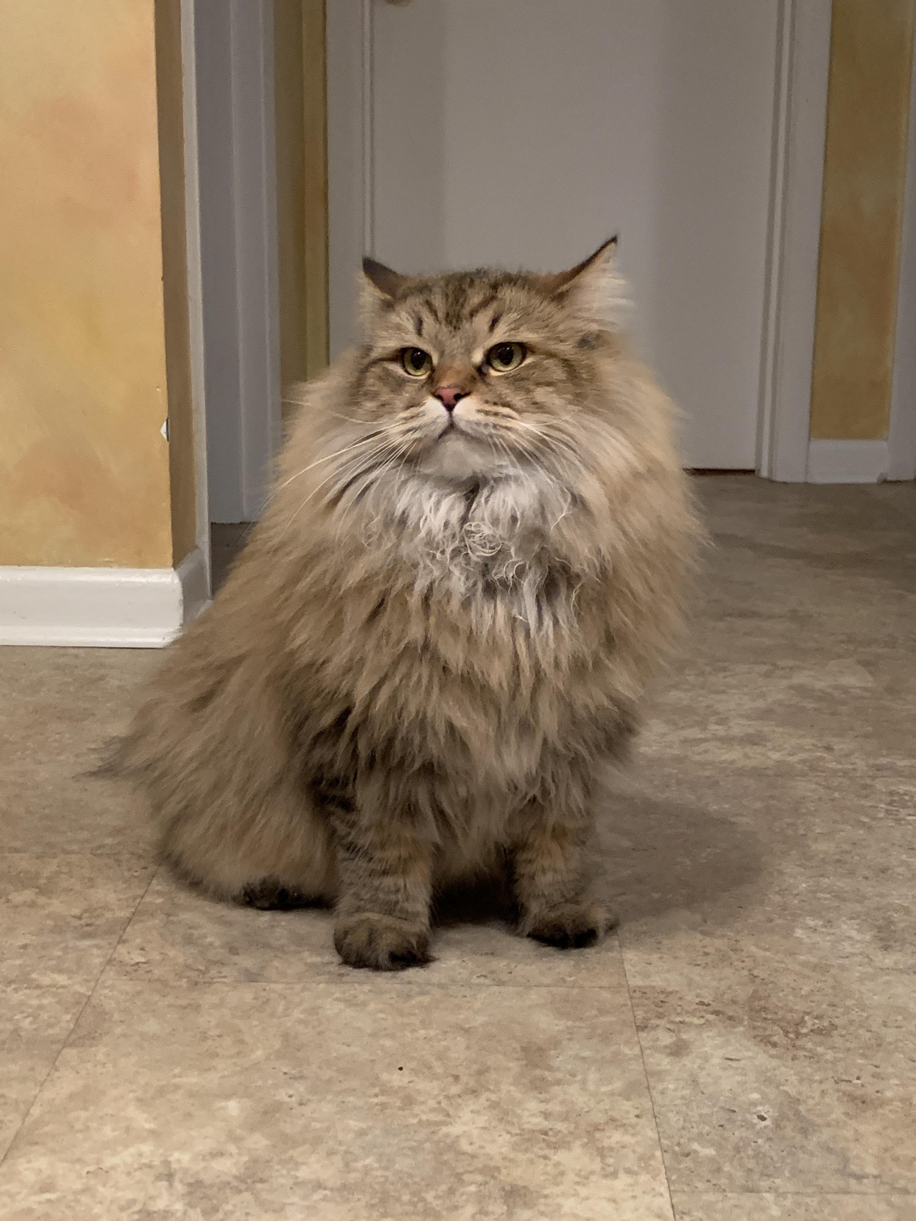 Vas’ka at 18 months | Scrolller