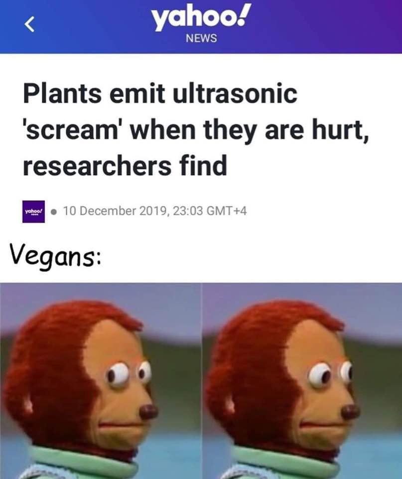 Vegans exposed | Scrolller