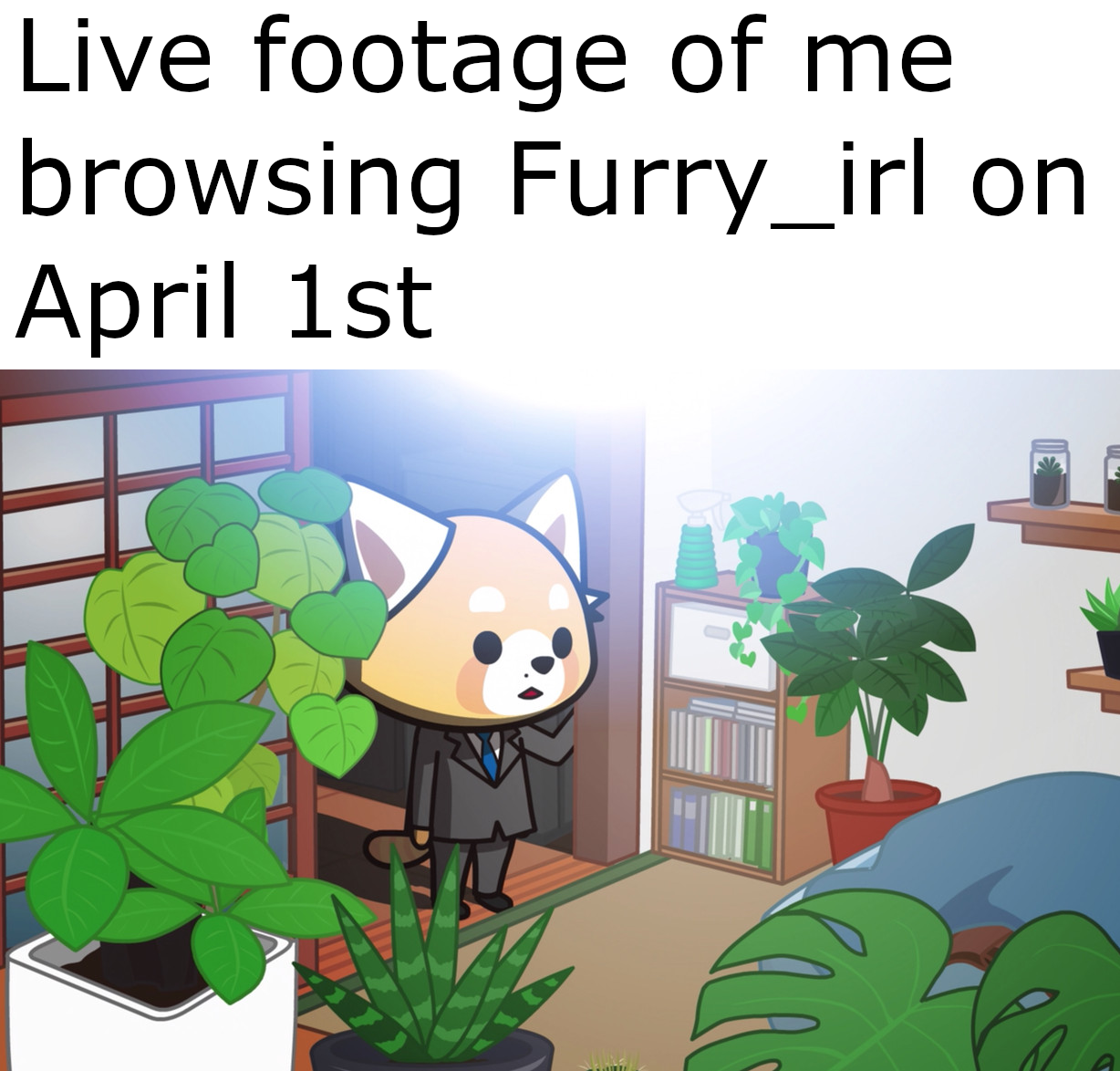 Veggie_irl | Scrolller