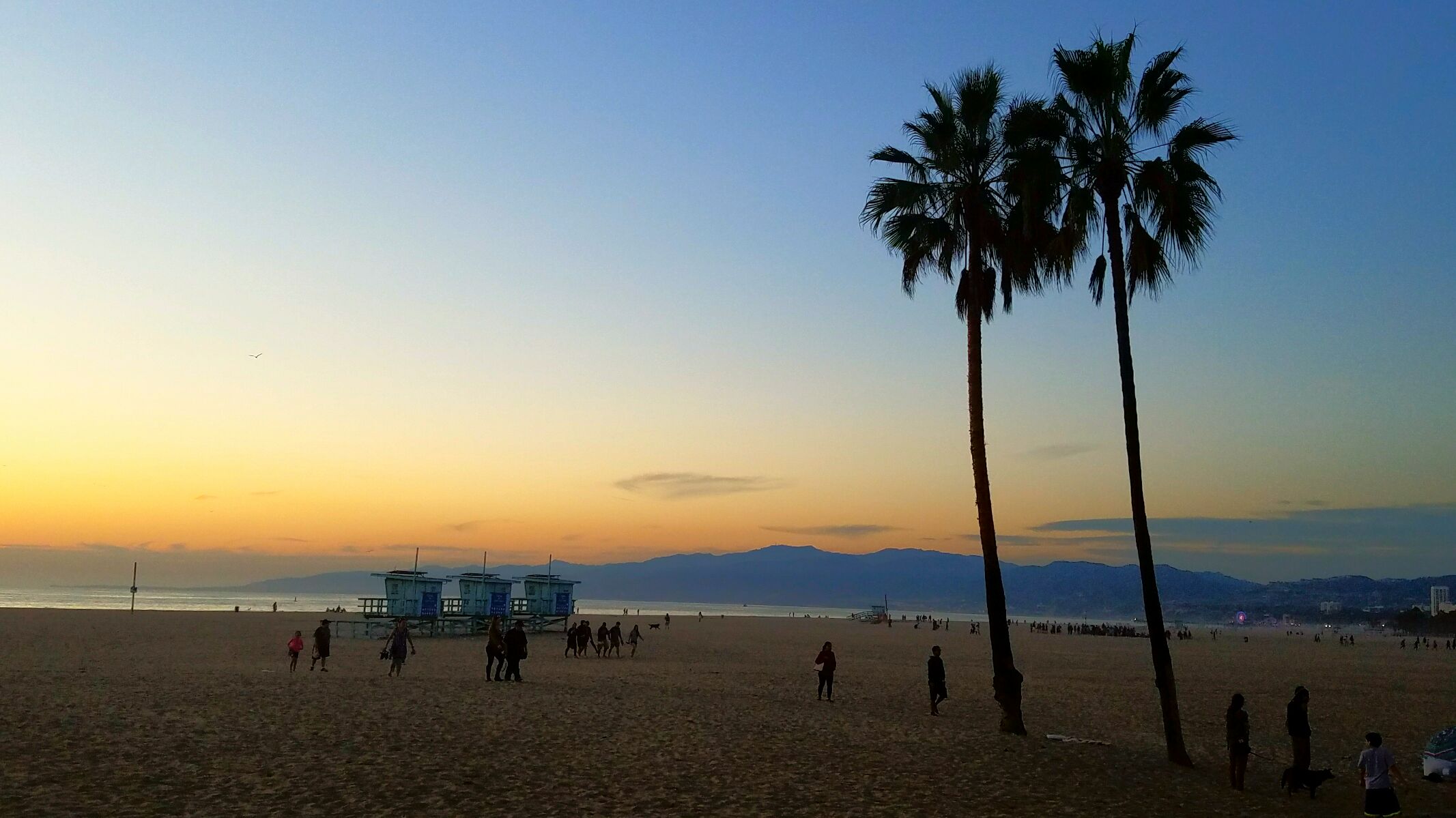 Venice Beach CA [OC] [2133x1199] | Scrolller