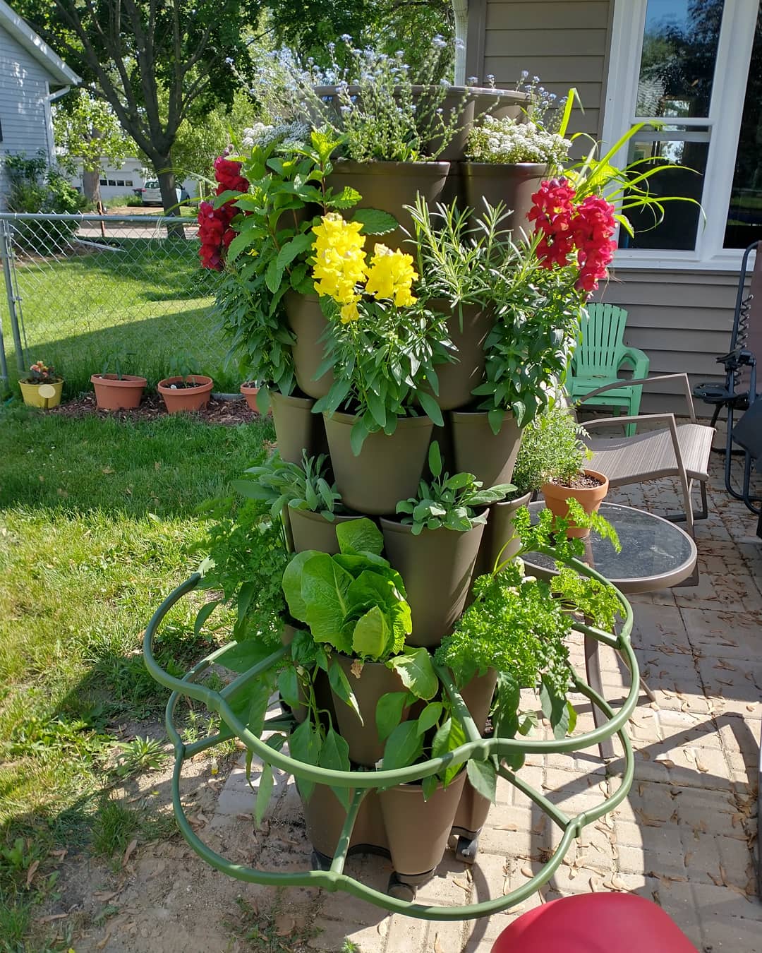 Vertical planting update | Scrolller