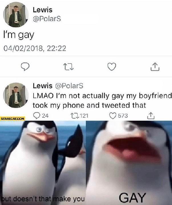 Very fitting from memes | Scrolller