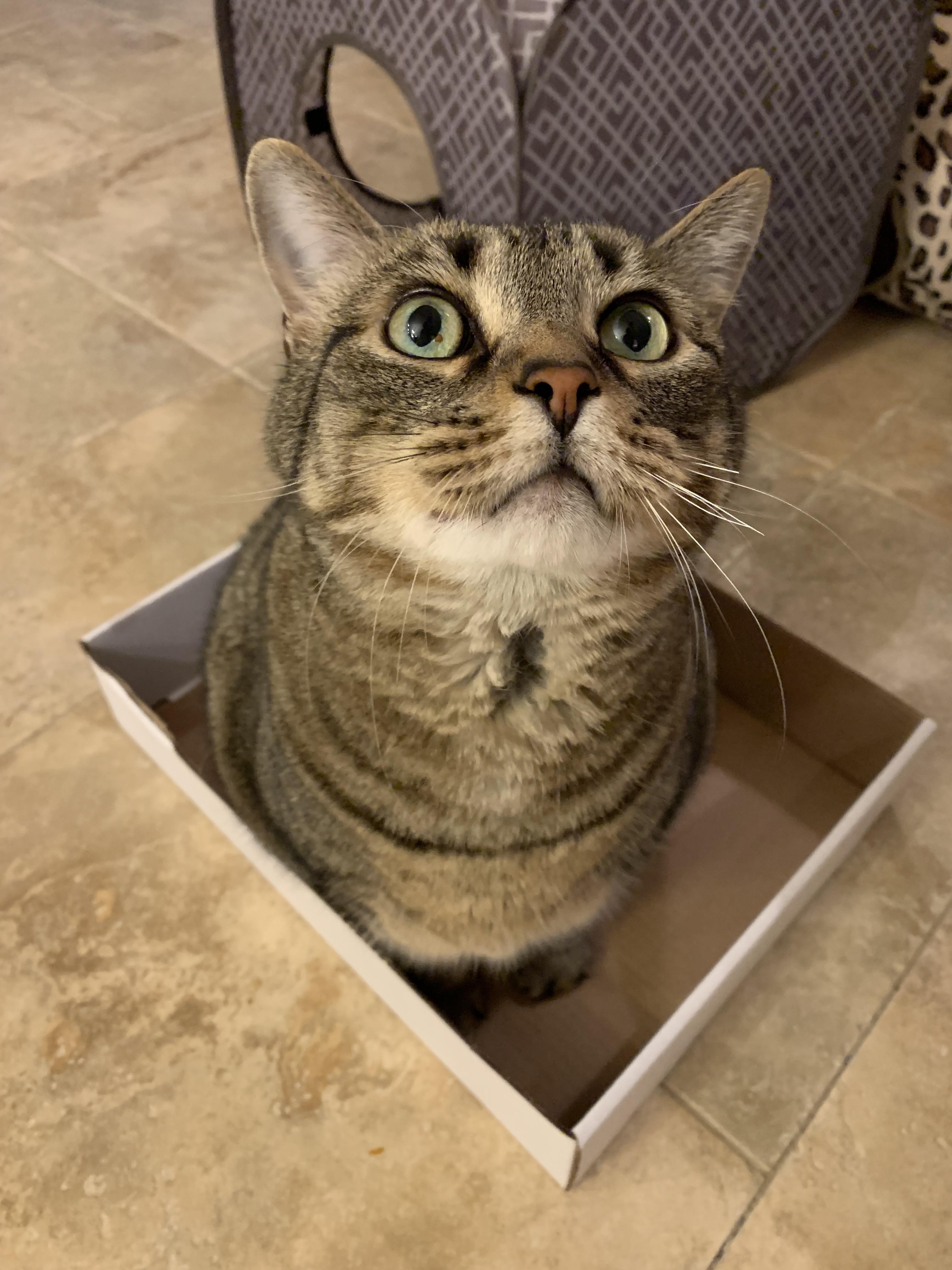 very happy about the new box | Scrolller