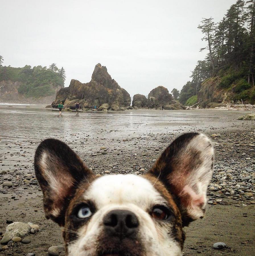 On a trip to the Oregon coast. | Scrolller