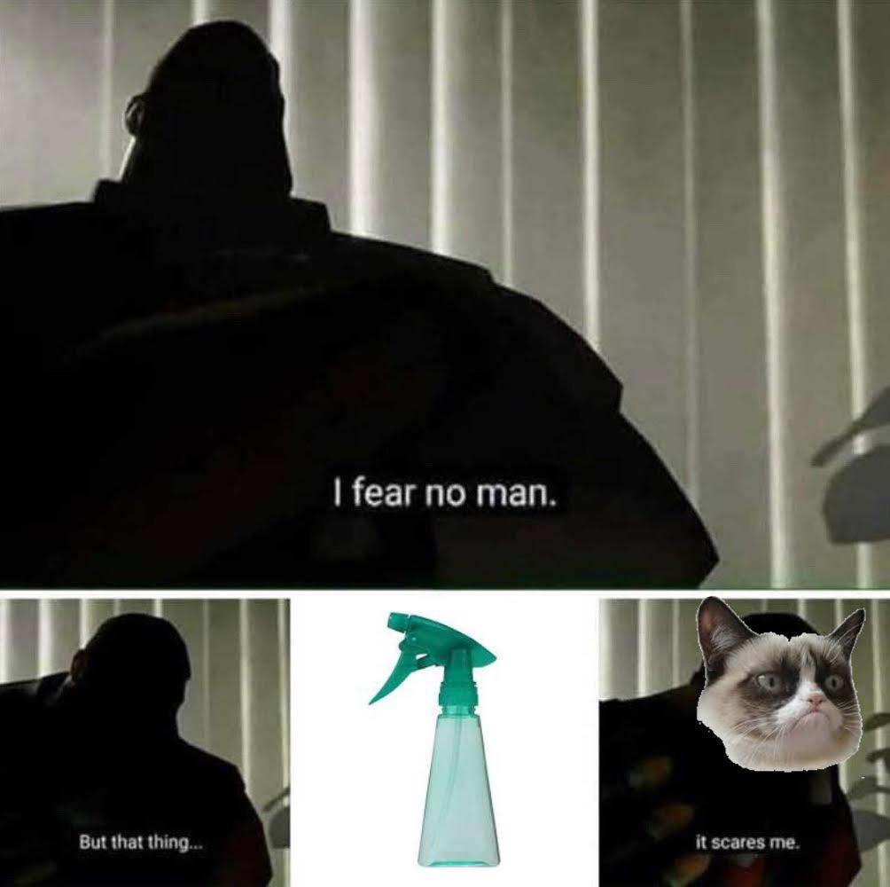 Very scary | Scrolller