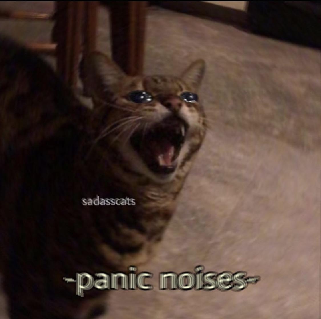 *Vietnam war flashbacks intensify* | Scrolller