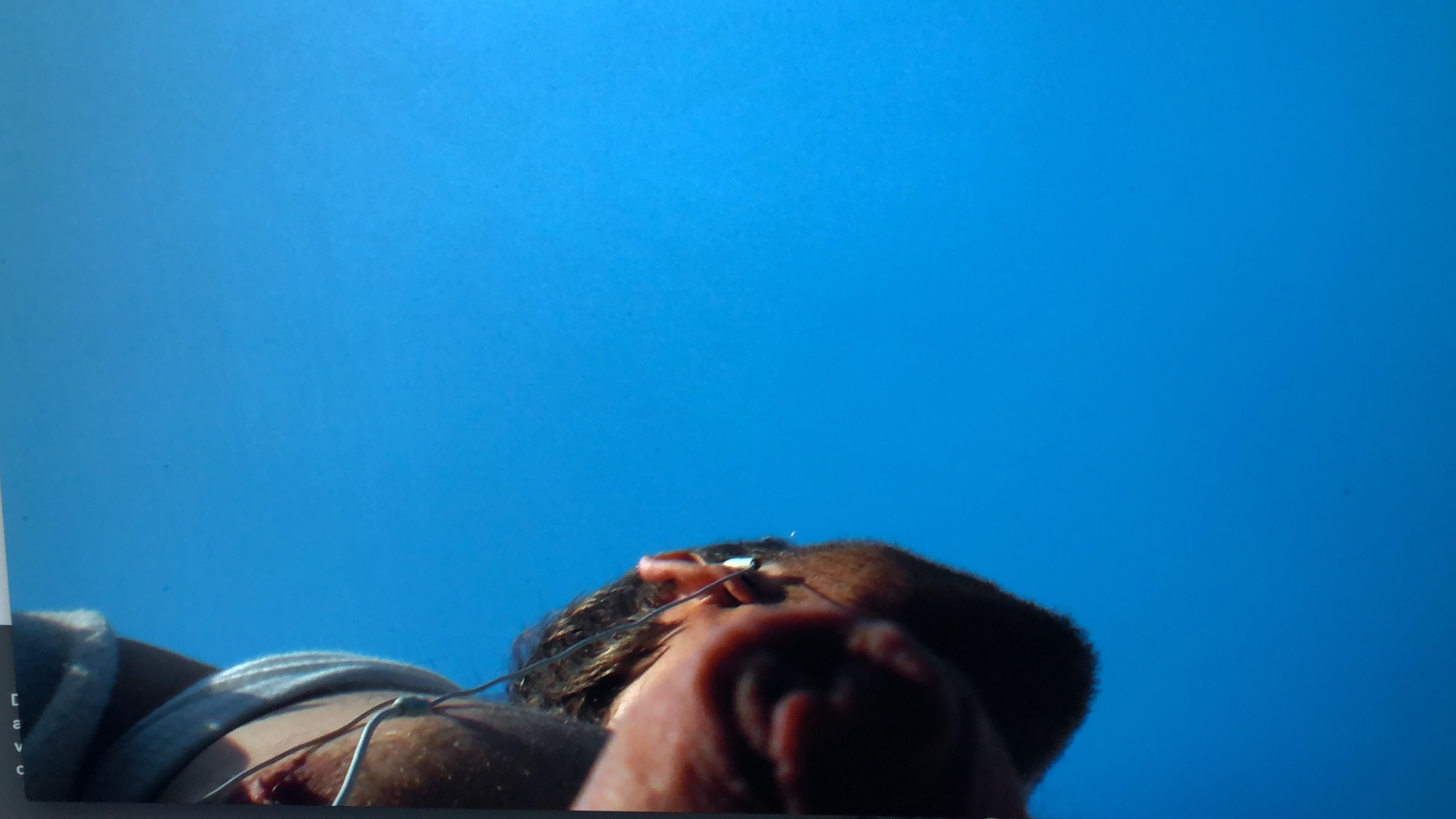 View from below | Scrolller