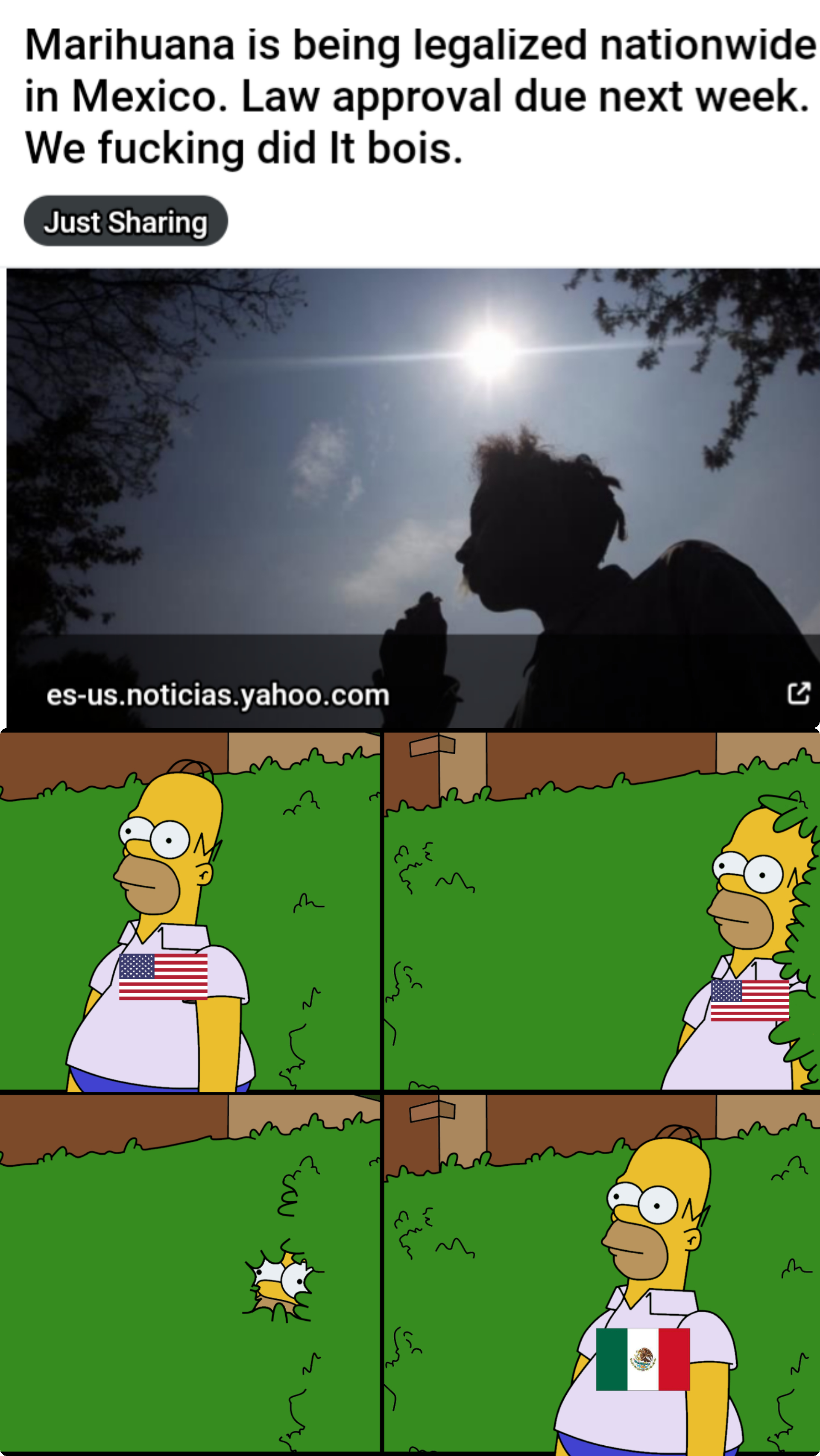 Viva mexico! | Scrolller