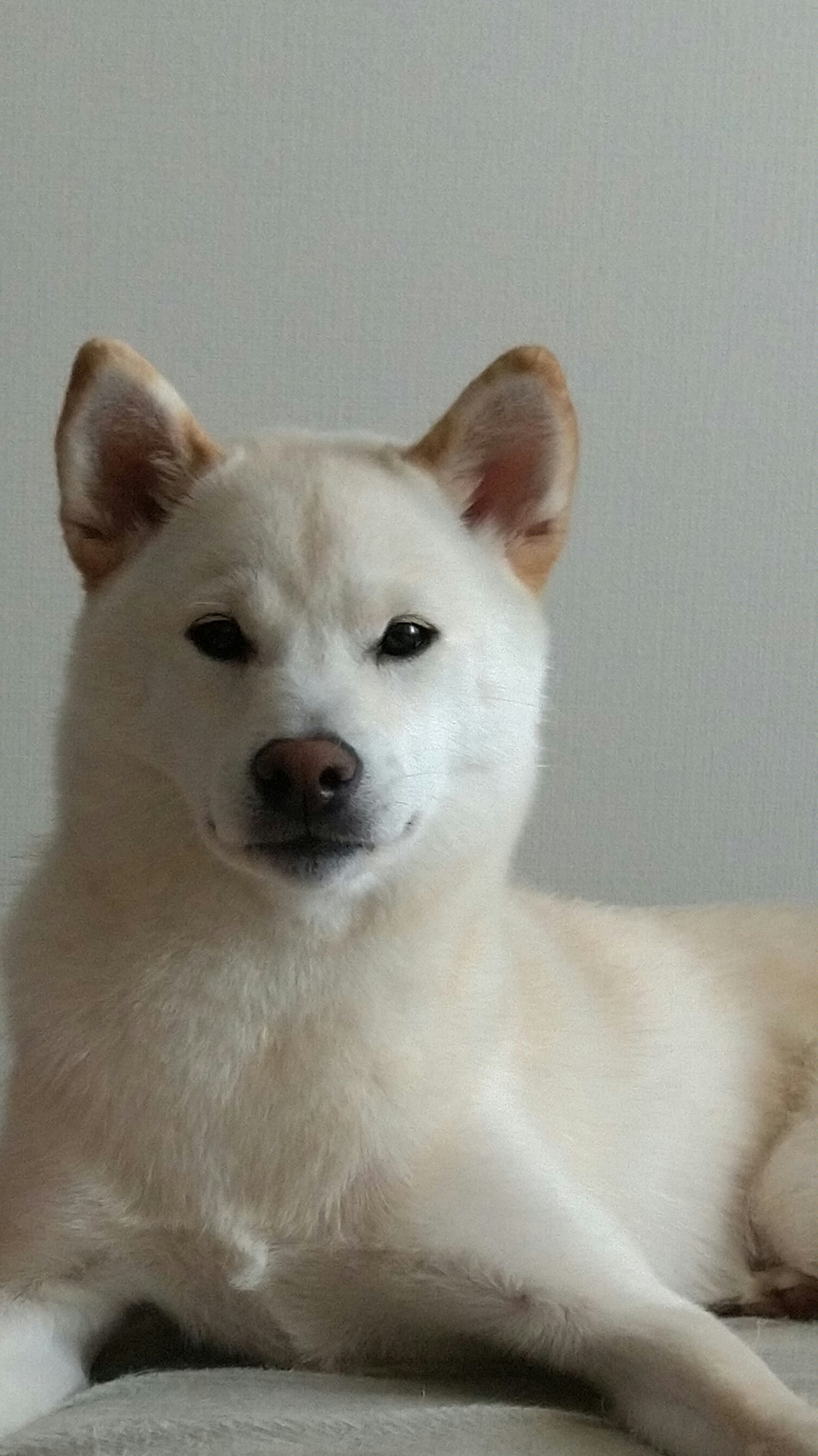 Vogue cover shot | Scrolller