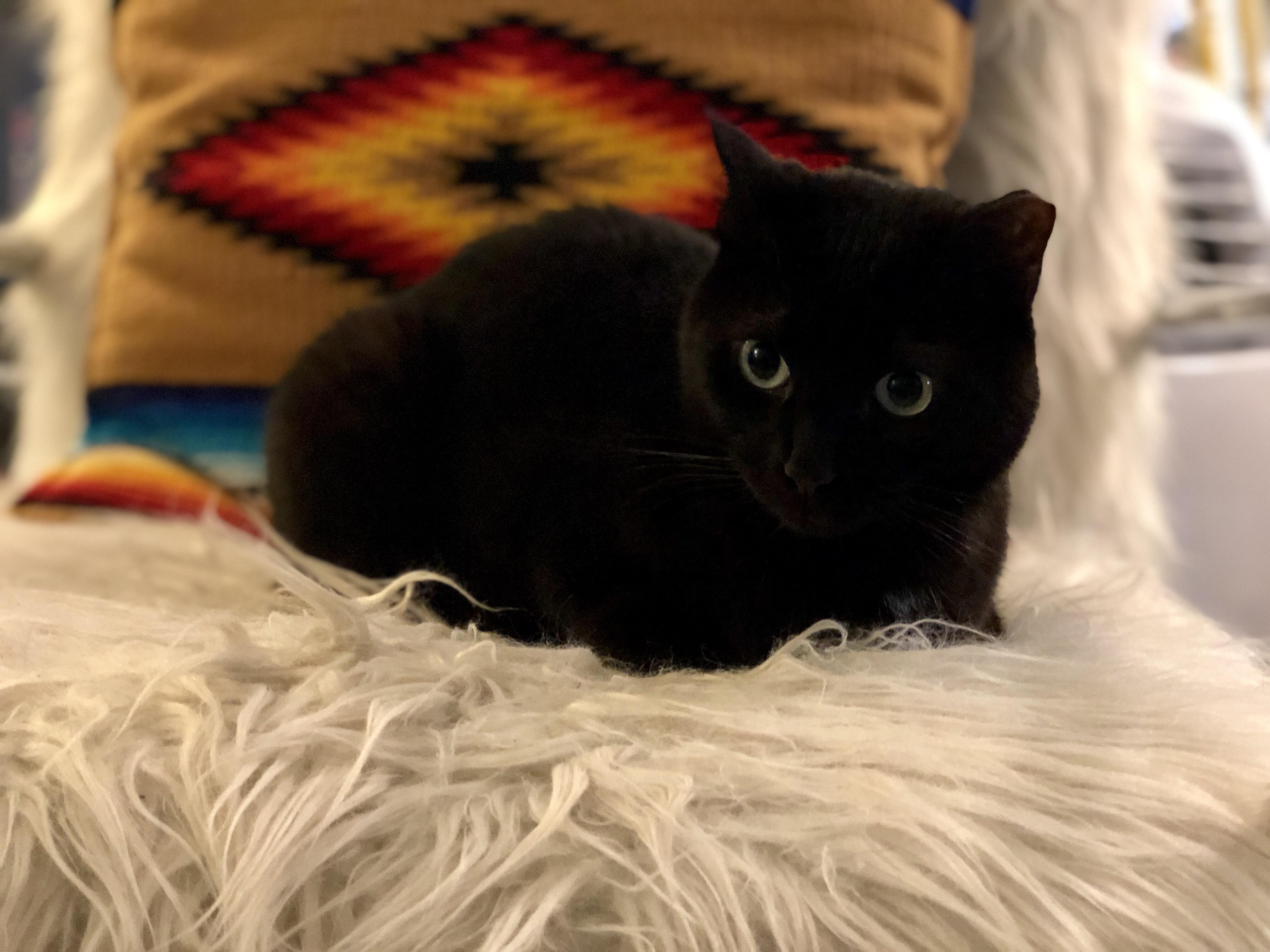 Void loaf | Scrolller