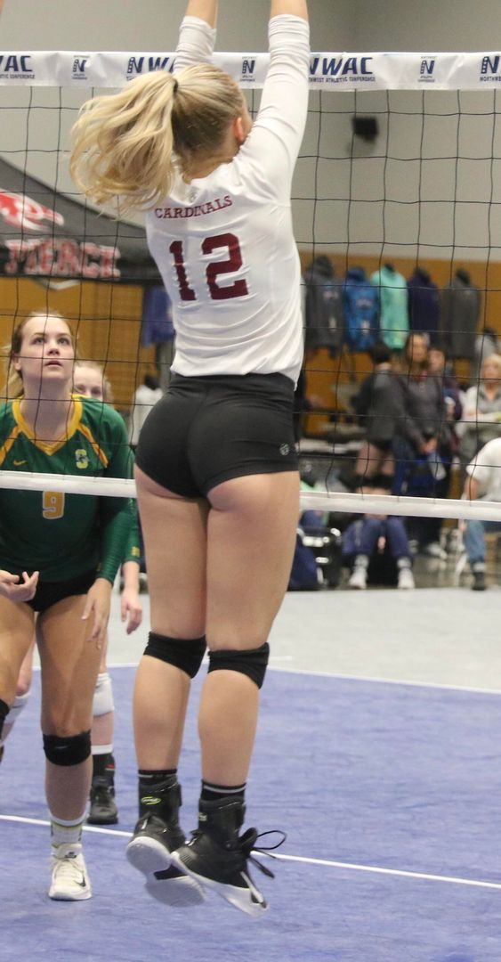 Volleyball | Scrolller