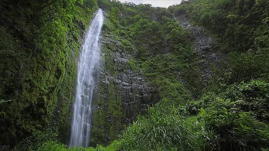 Waimoku Falls, Maui. | Scrolller