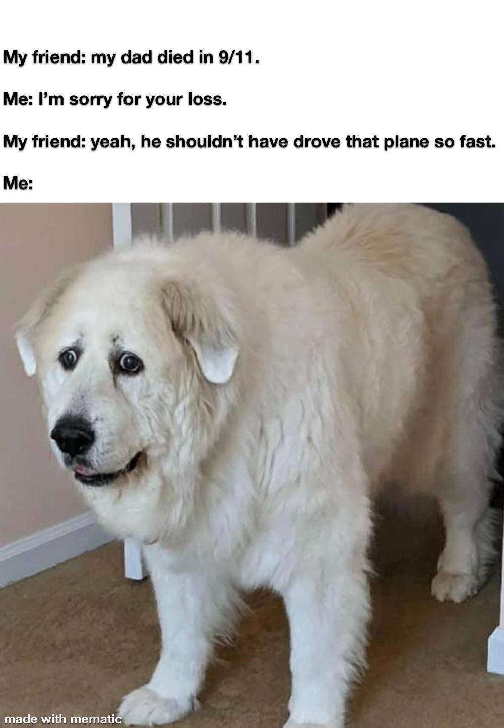 Wait a minute... | Scrolller