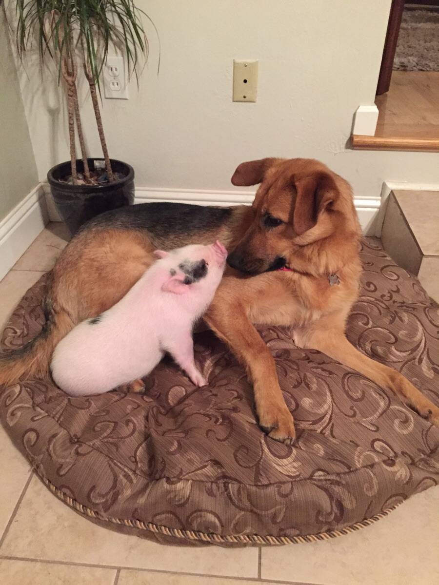 Wait are we the same? | Scrolller