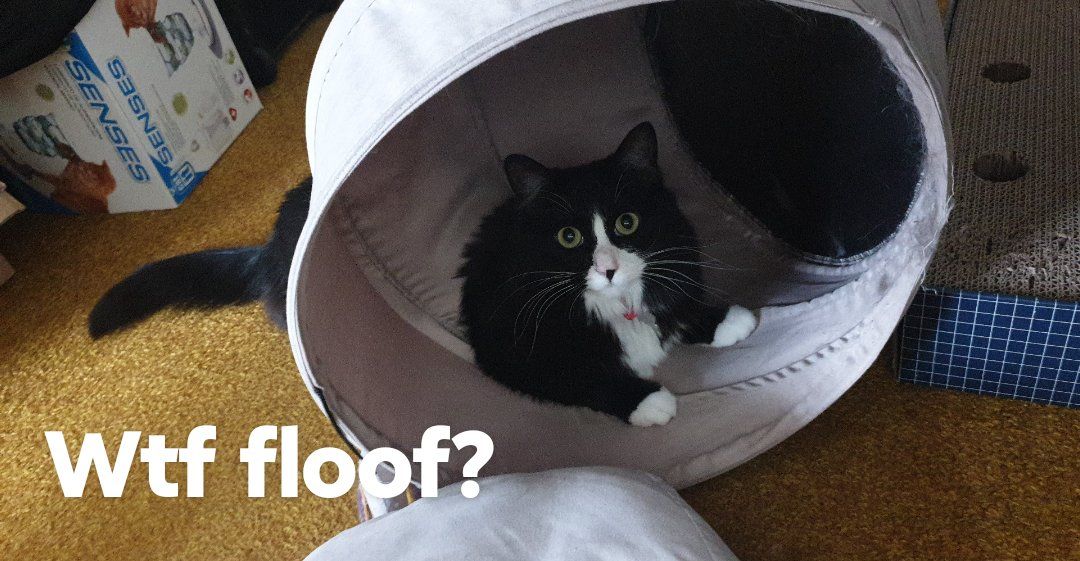 Wait... this isn't the cat dimension! | Scrolller