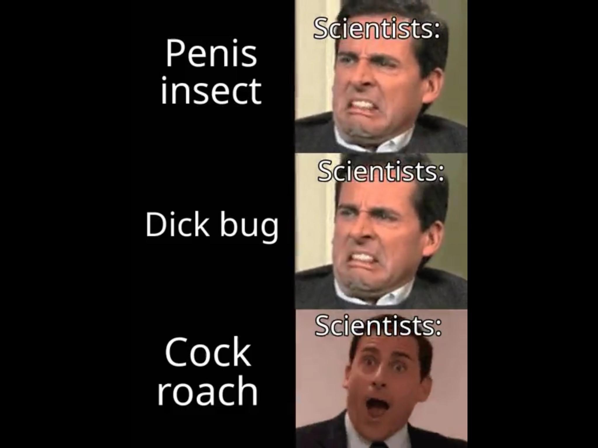 Wait what bug? | Scrolller