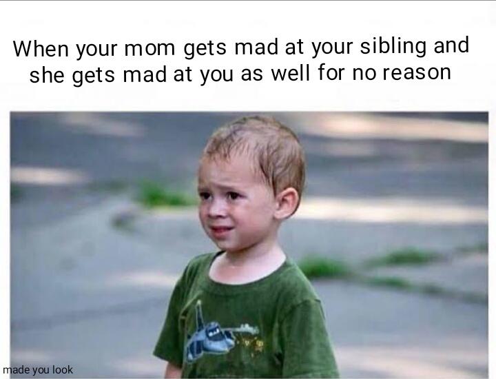 Wait, what did I do? | Scrolller