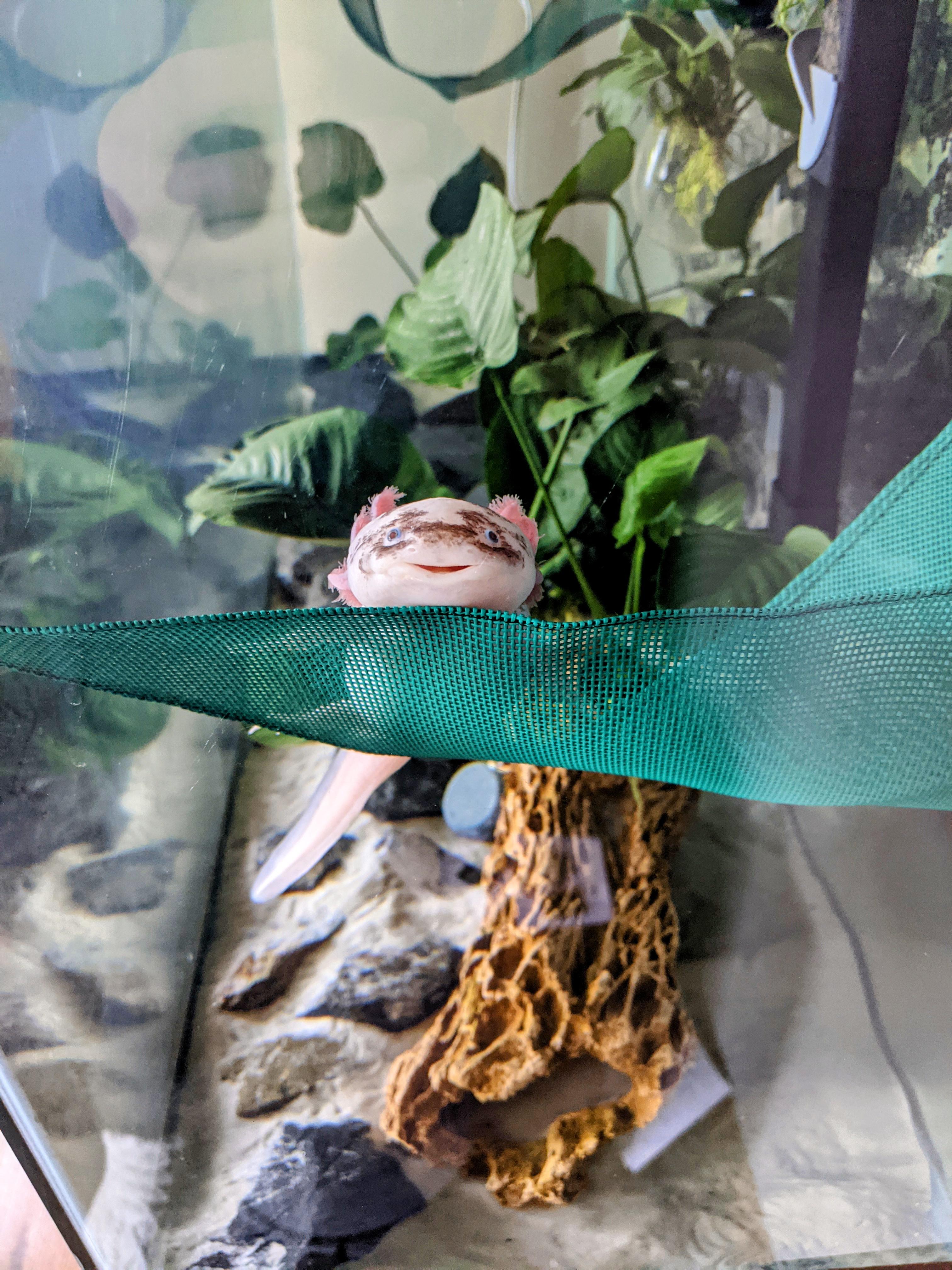 Waiting for her next worm | Scrolller