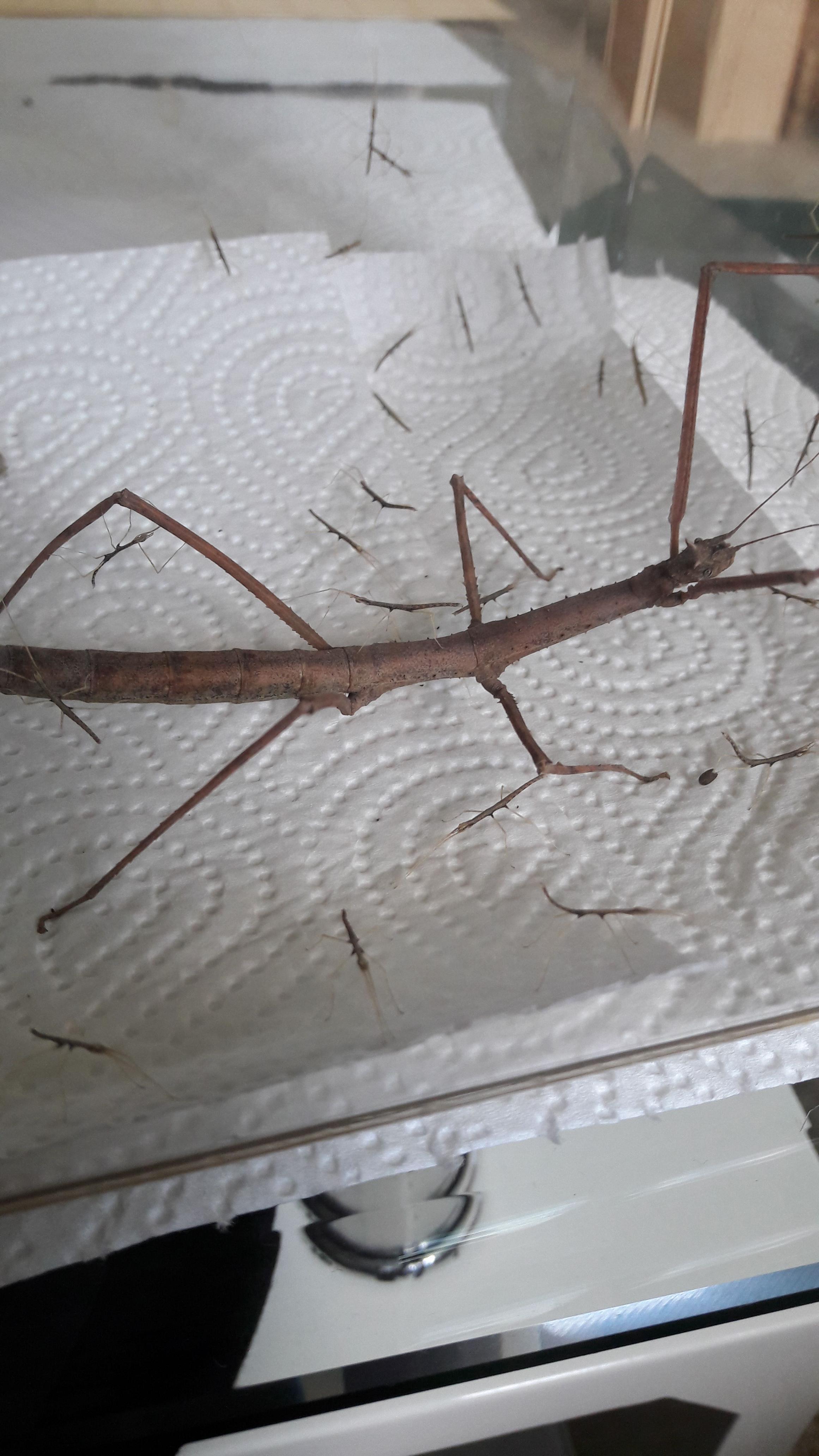 Waiting for the new enclosure | Scrolller