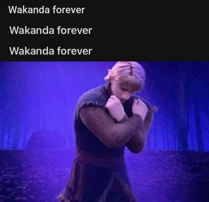 Wakanda forever | Scrolller