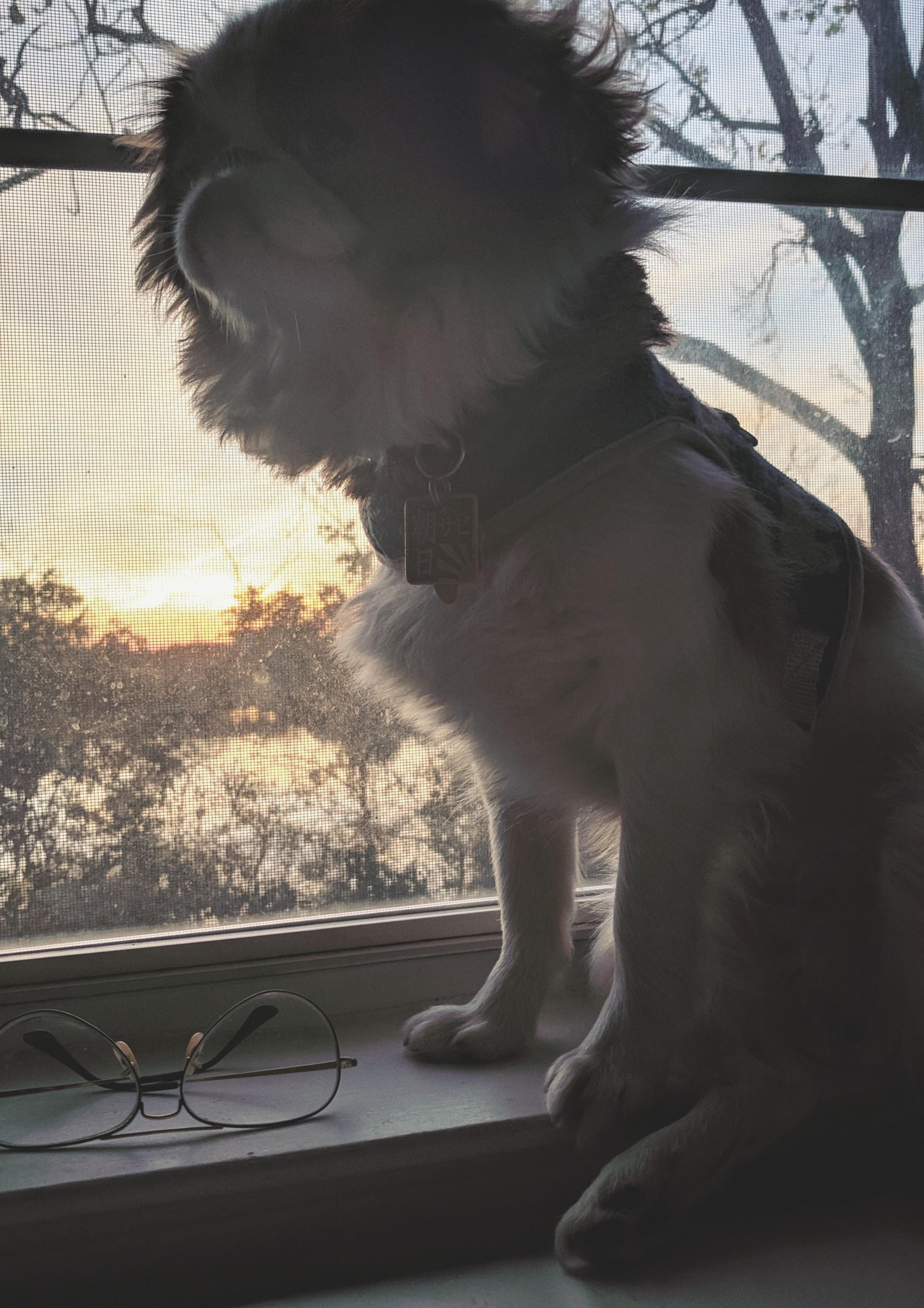 wake up~ | Scrolller