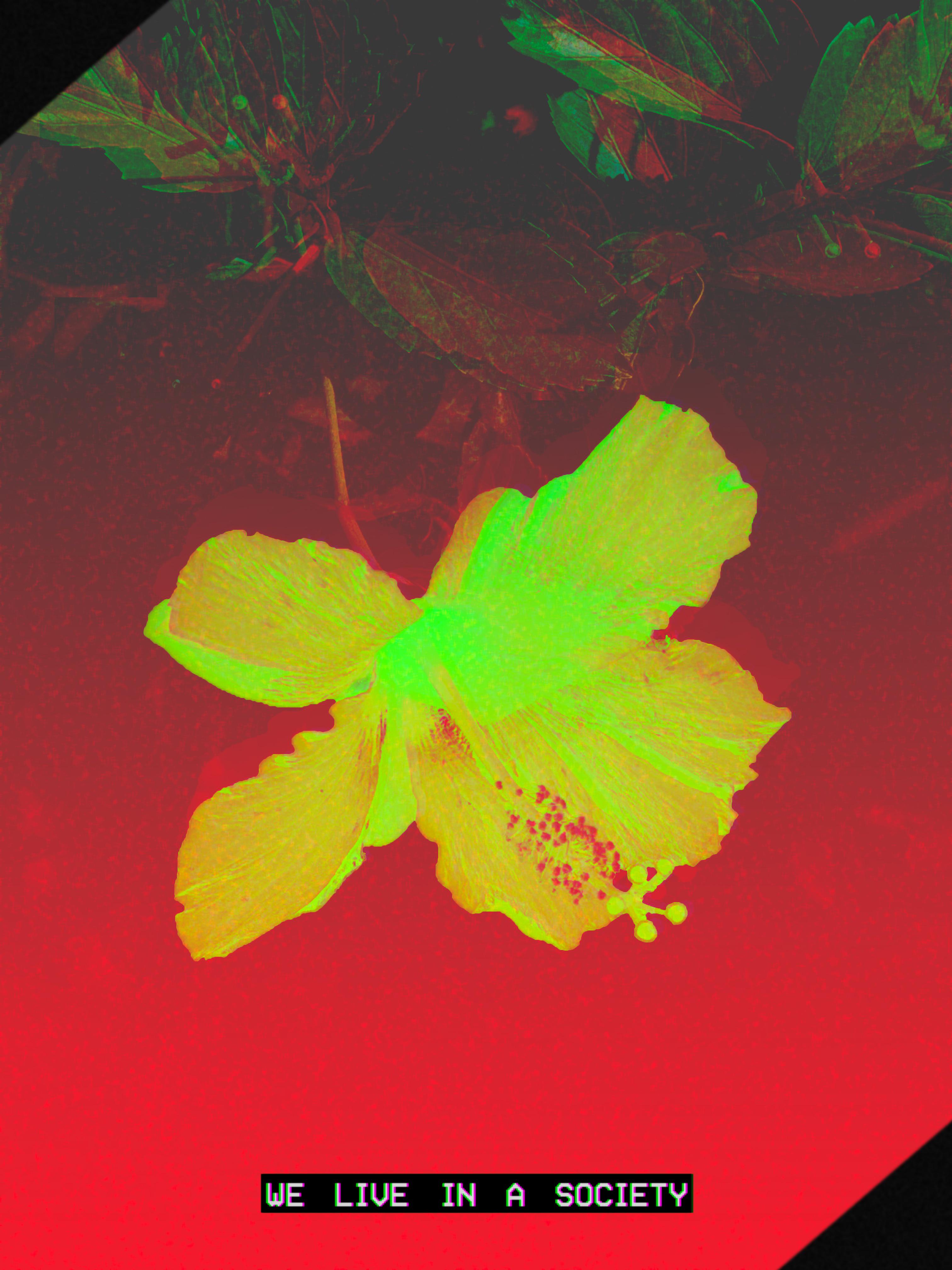 Wake up sheeple | Scrolller