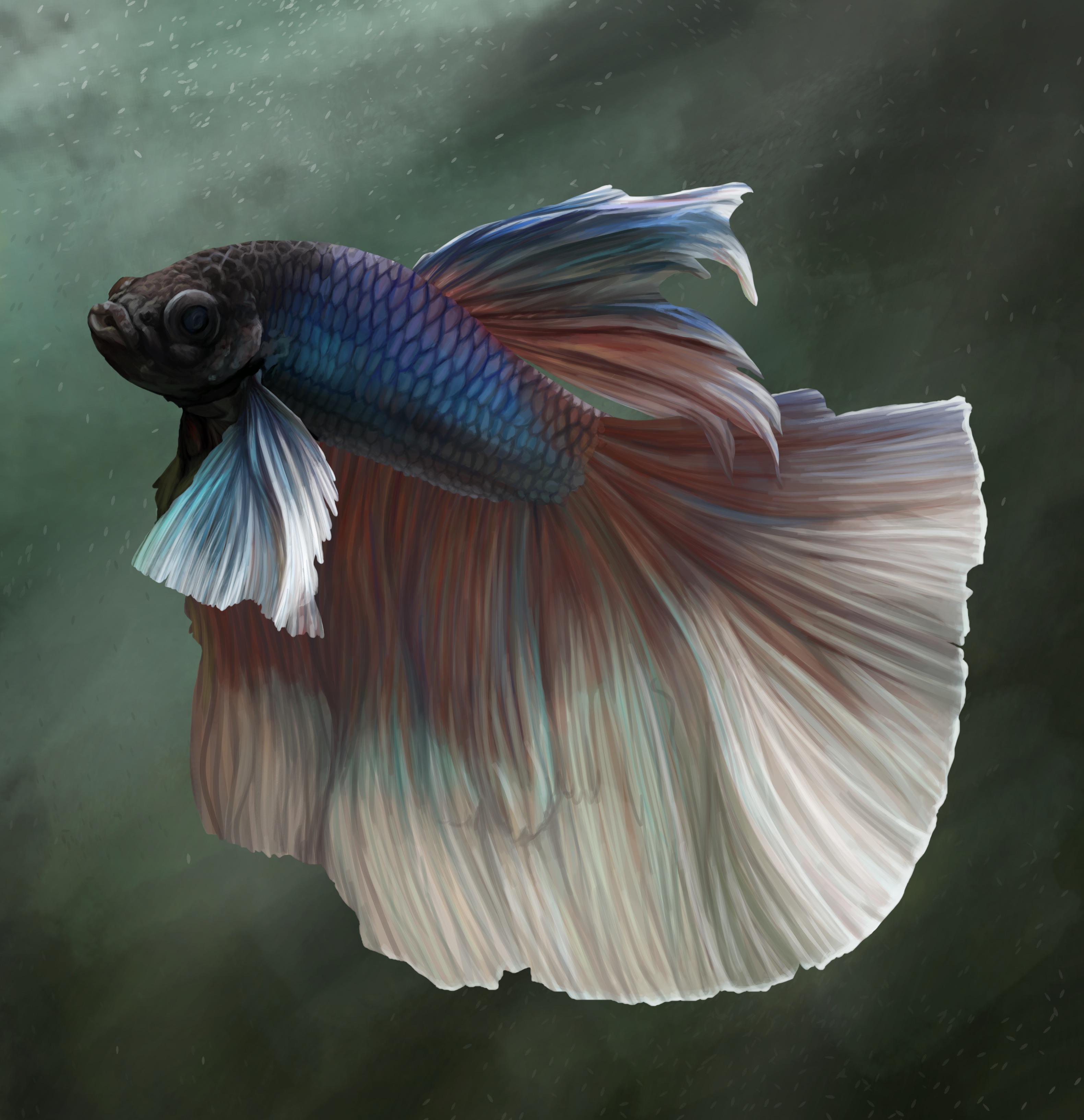 Waldo, Painting for my mother’s betta boi. | Scrolller