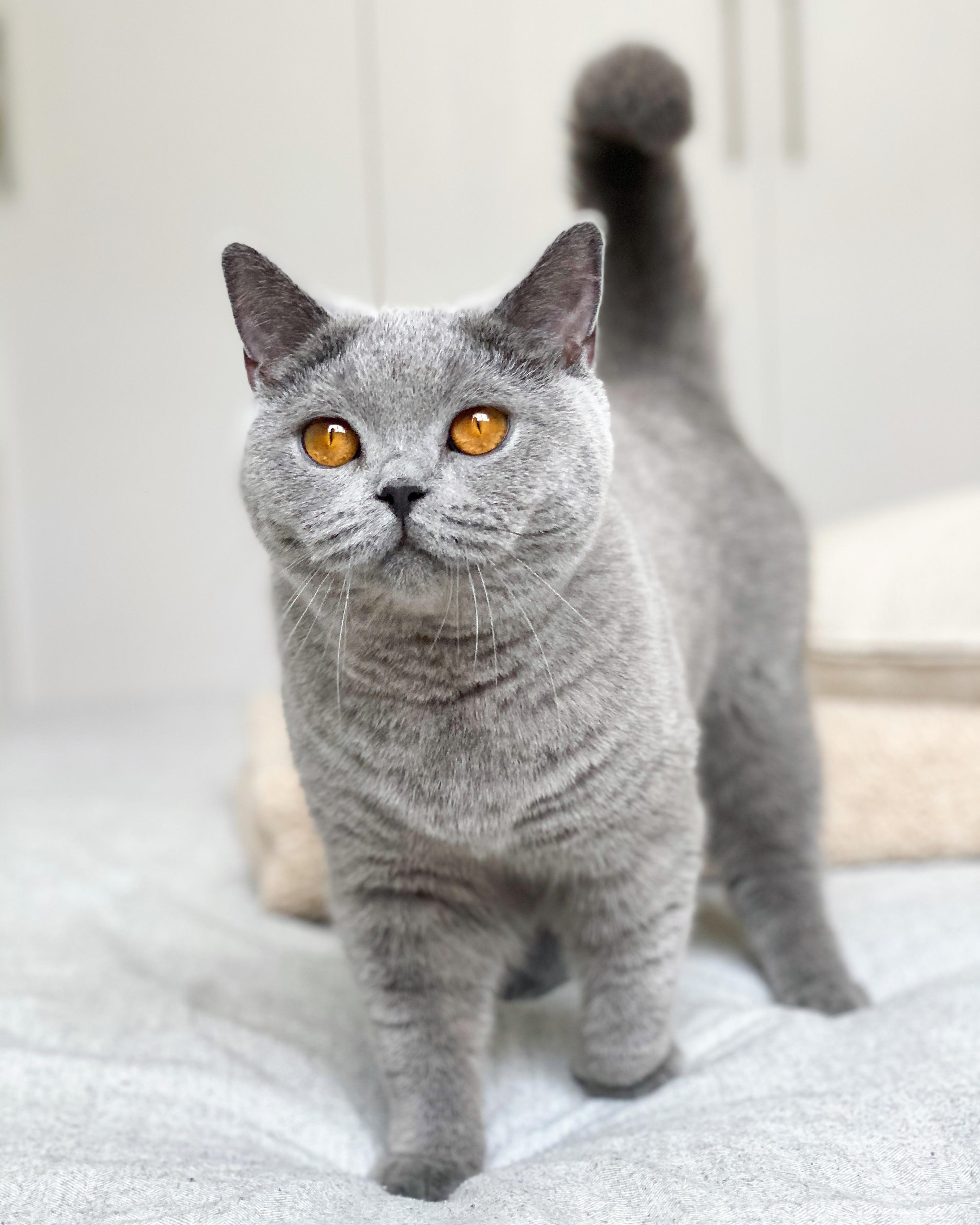 Walk away | Scrolller