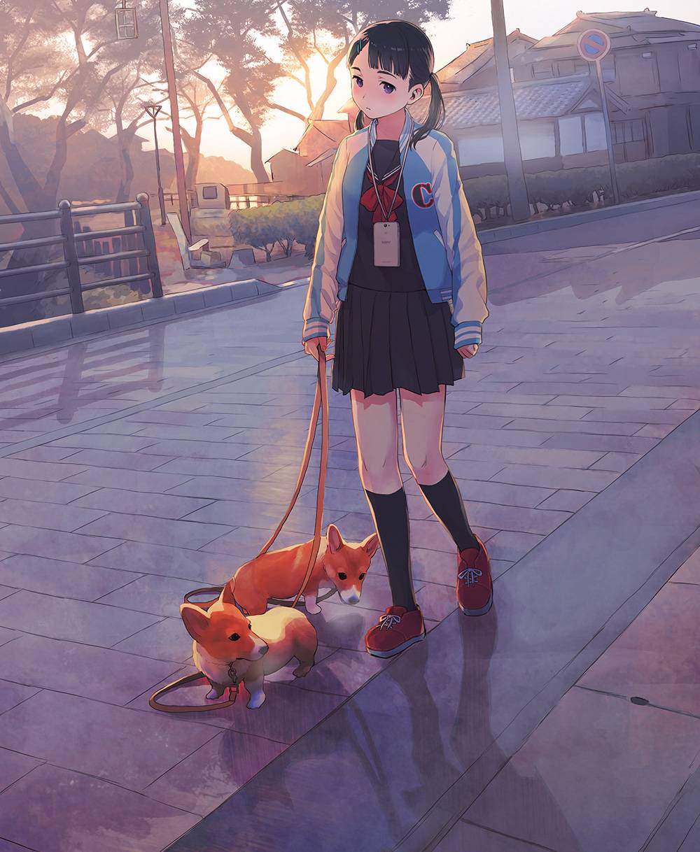 Walk with corgis [Original] | Scrolller