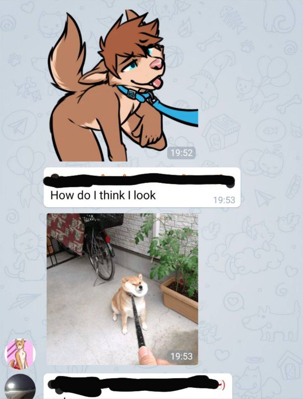 Walkies? | Scrolller