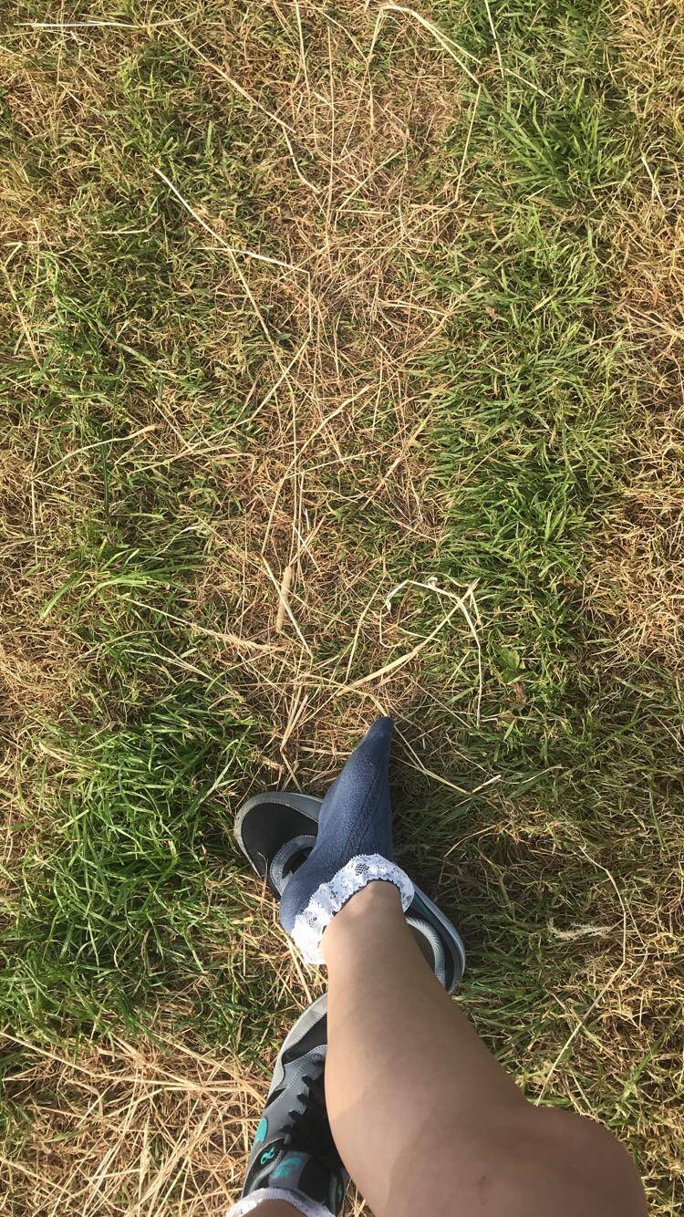 Walking through fields works up a sweat. get at em 💸💸 | Scrolller