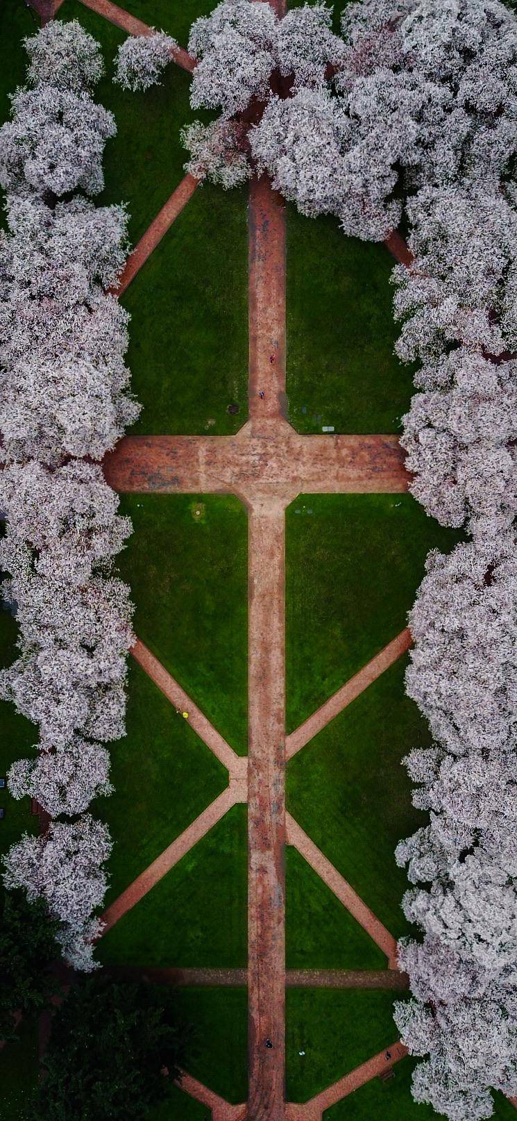 Wallpaper (The Quad) | Scrolller