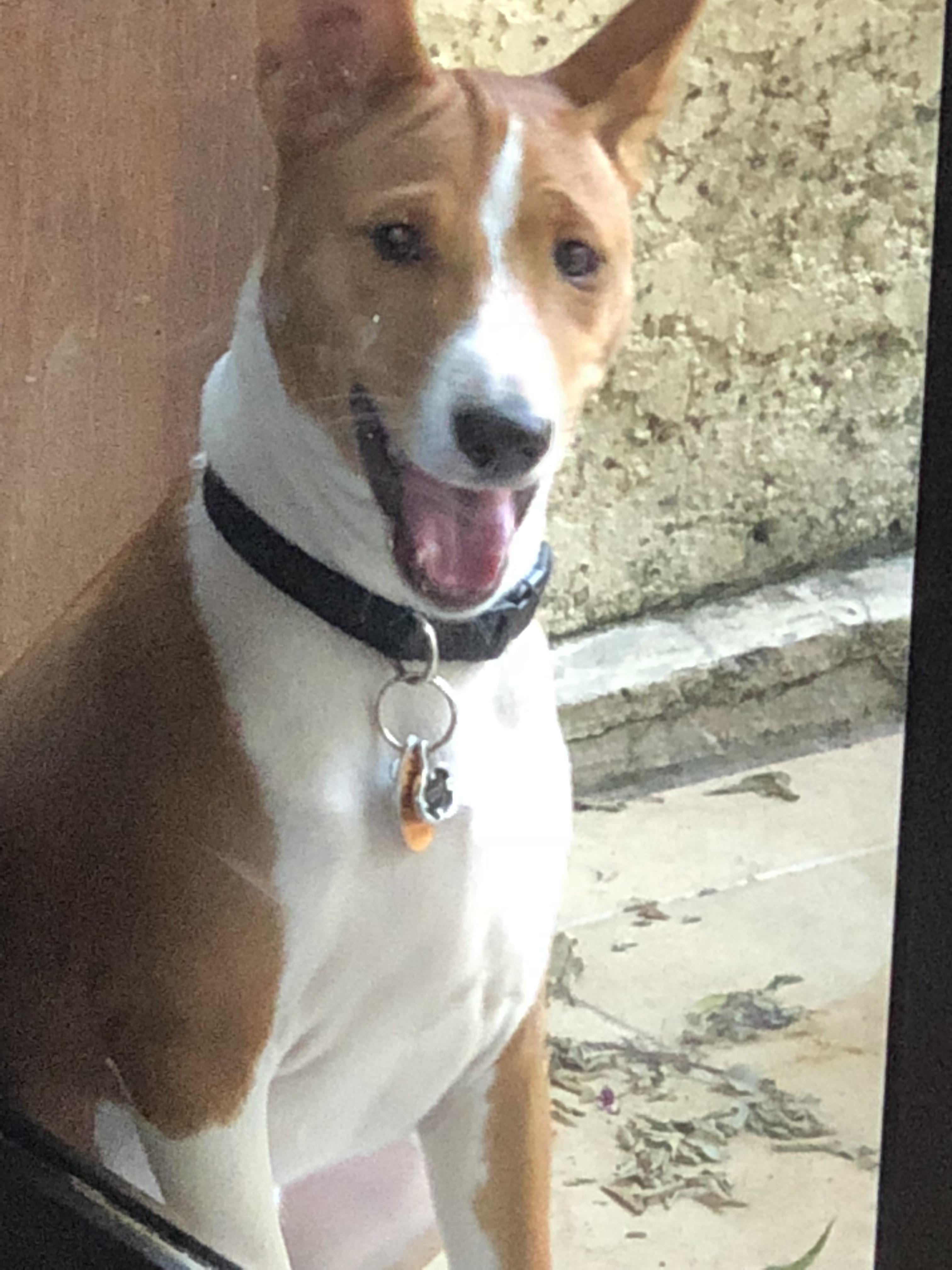 Wally is a smiley boy! | Scrolller