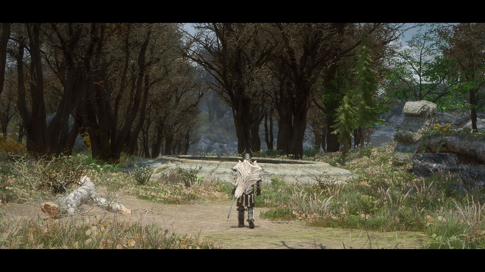 Discover more like SkyrimPorn: Wanderer and Related Content | Scrolller