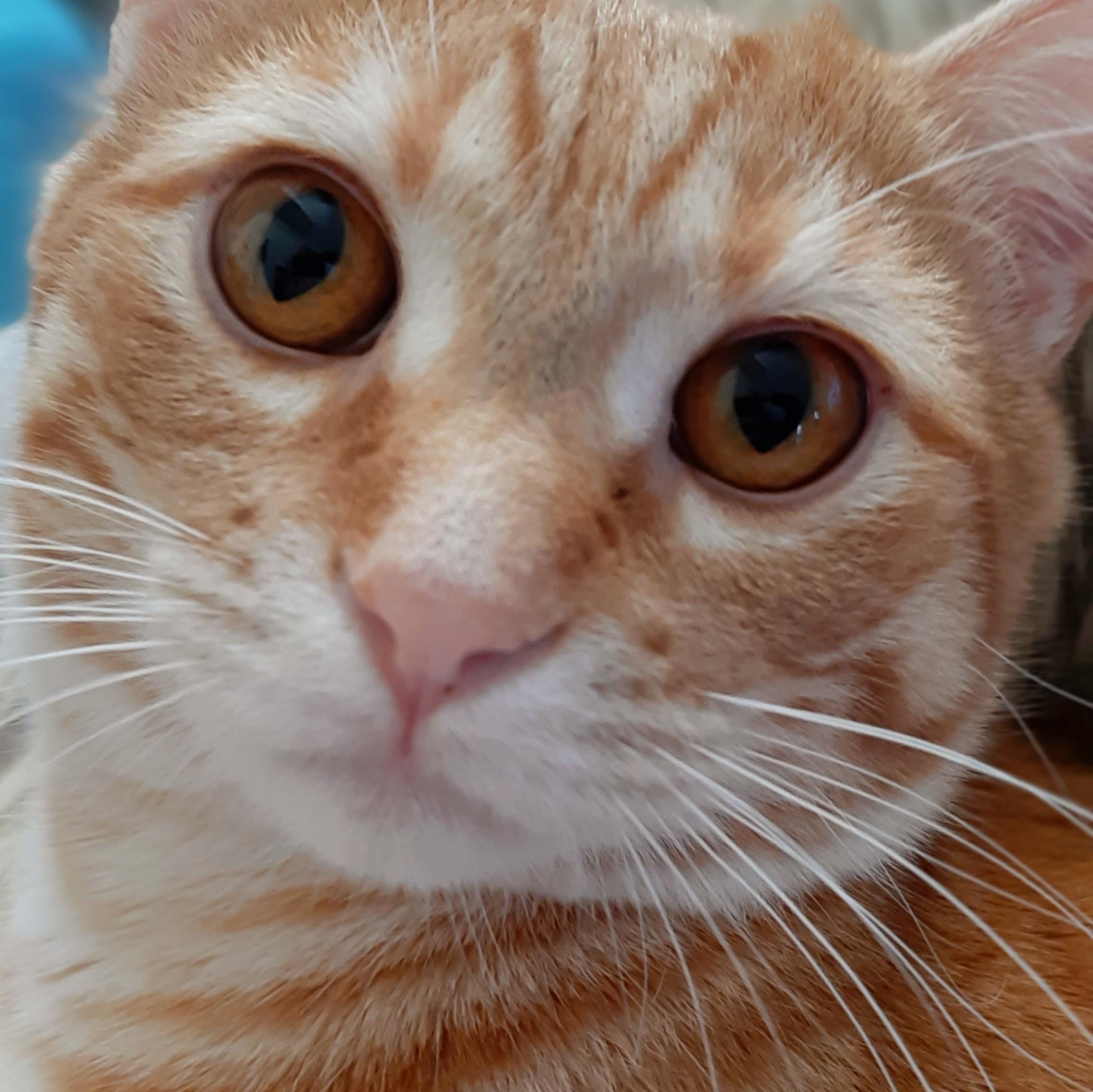 WARNING: Cuteness overload ahead | Scrolller