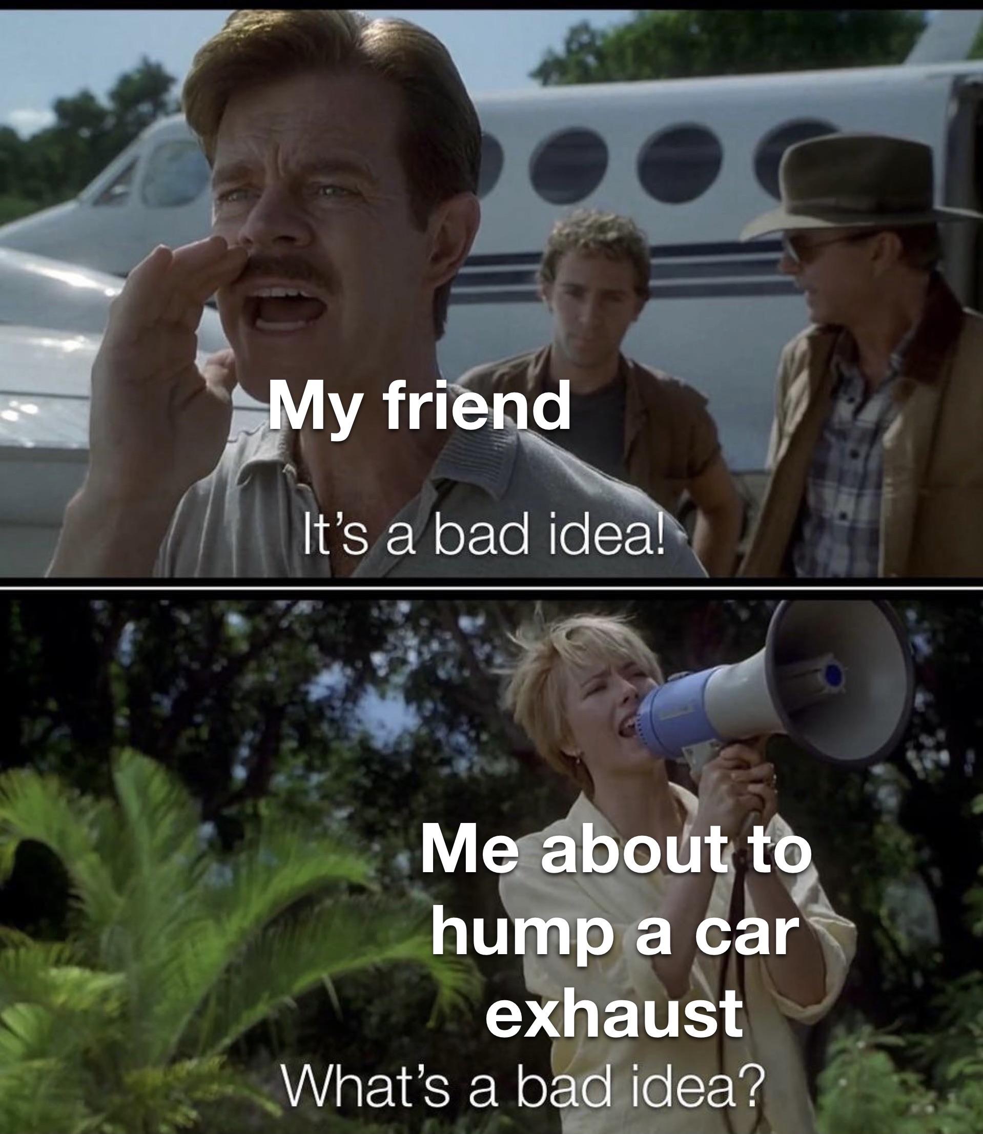 Was it a bad idea? We'll never know | Scrolller