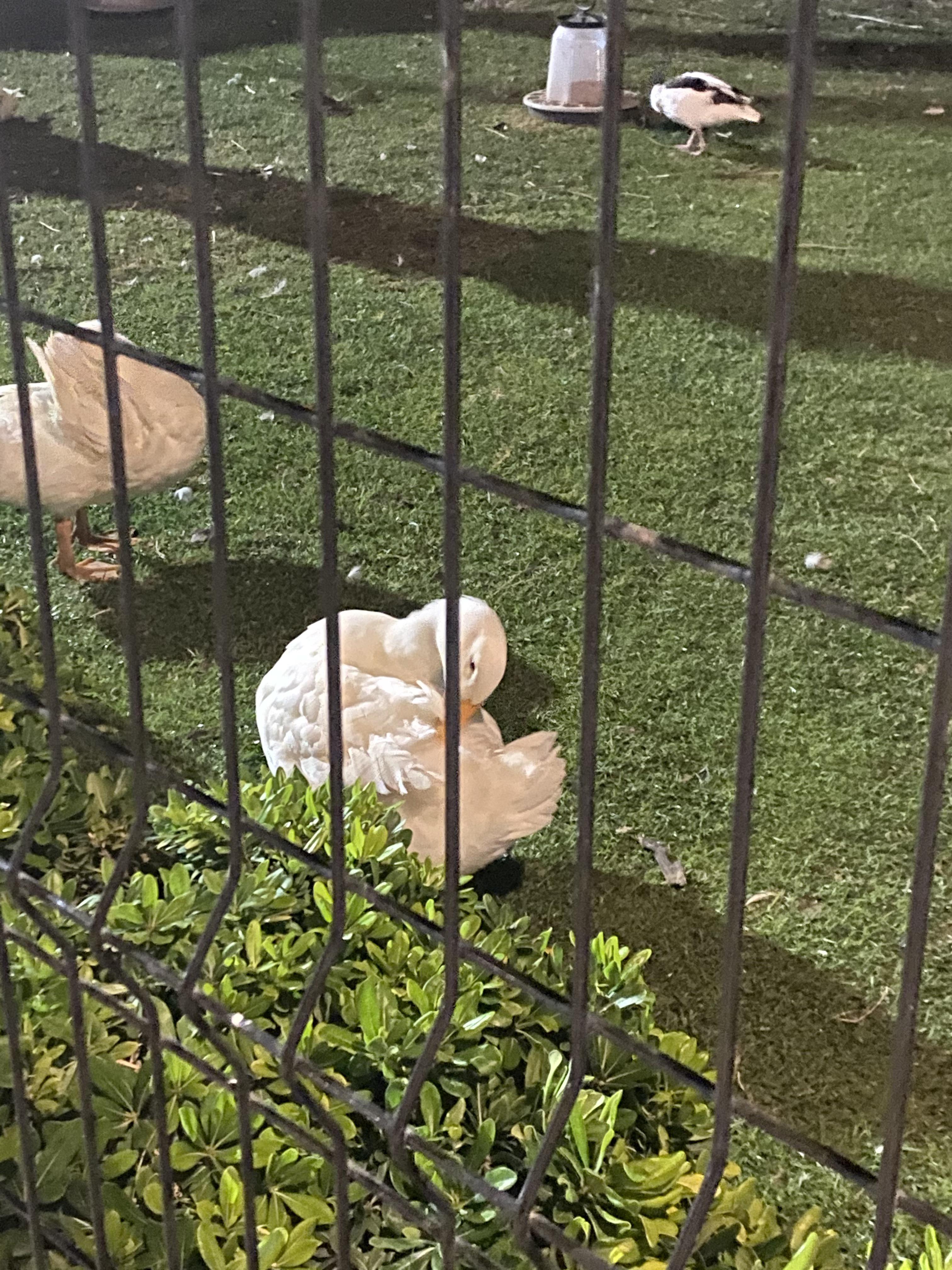 Way too blessed | Scrolller