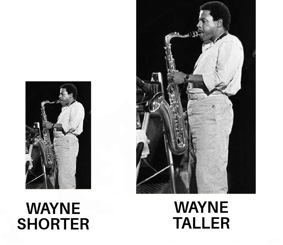Wayne Taller | Scrolller