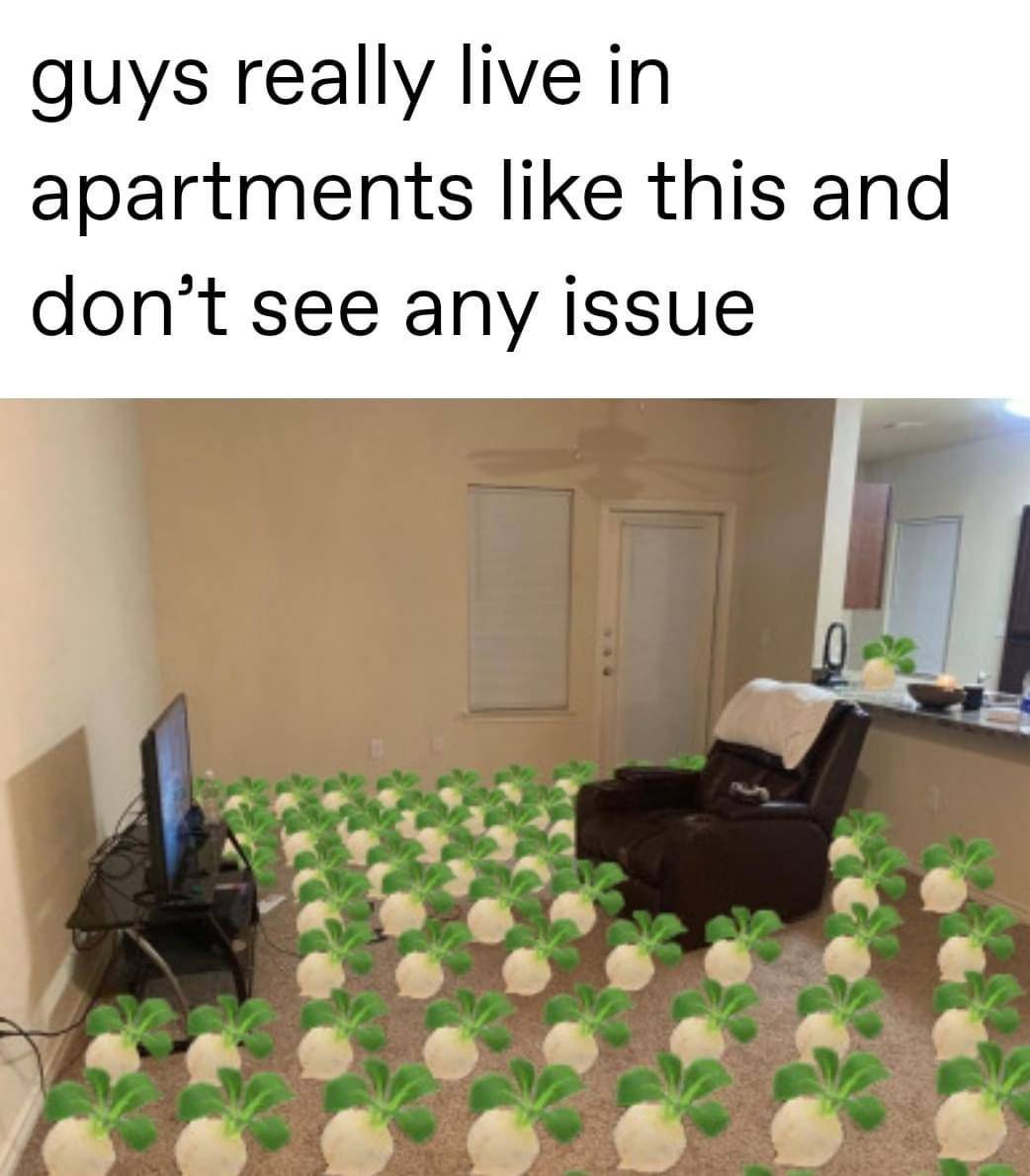 We all know one | Scrolller