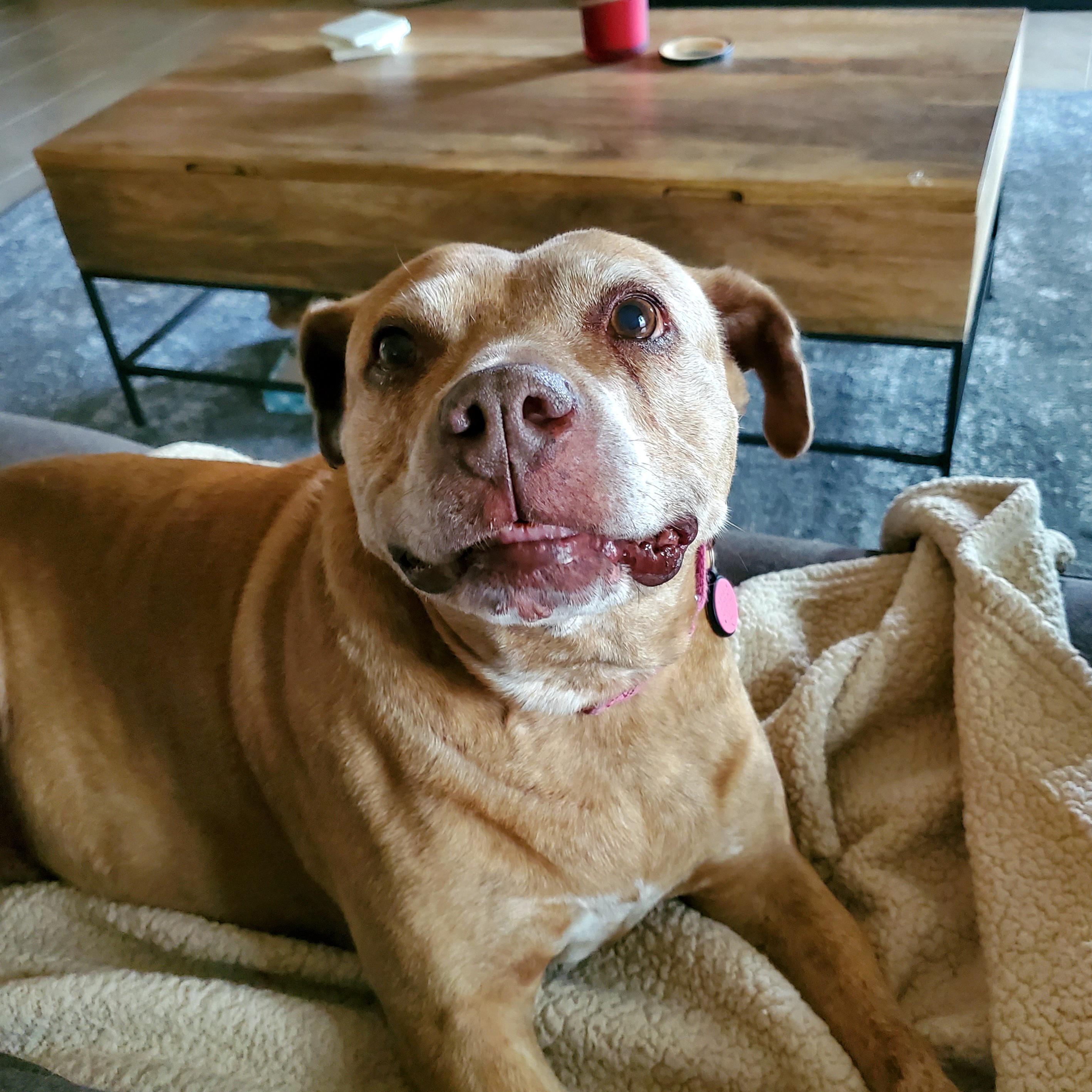 We call this her granny smile | Scrolller