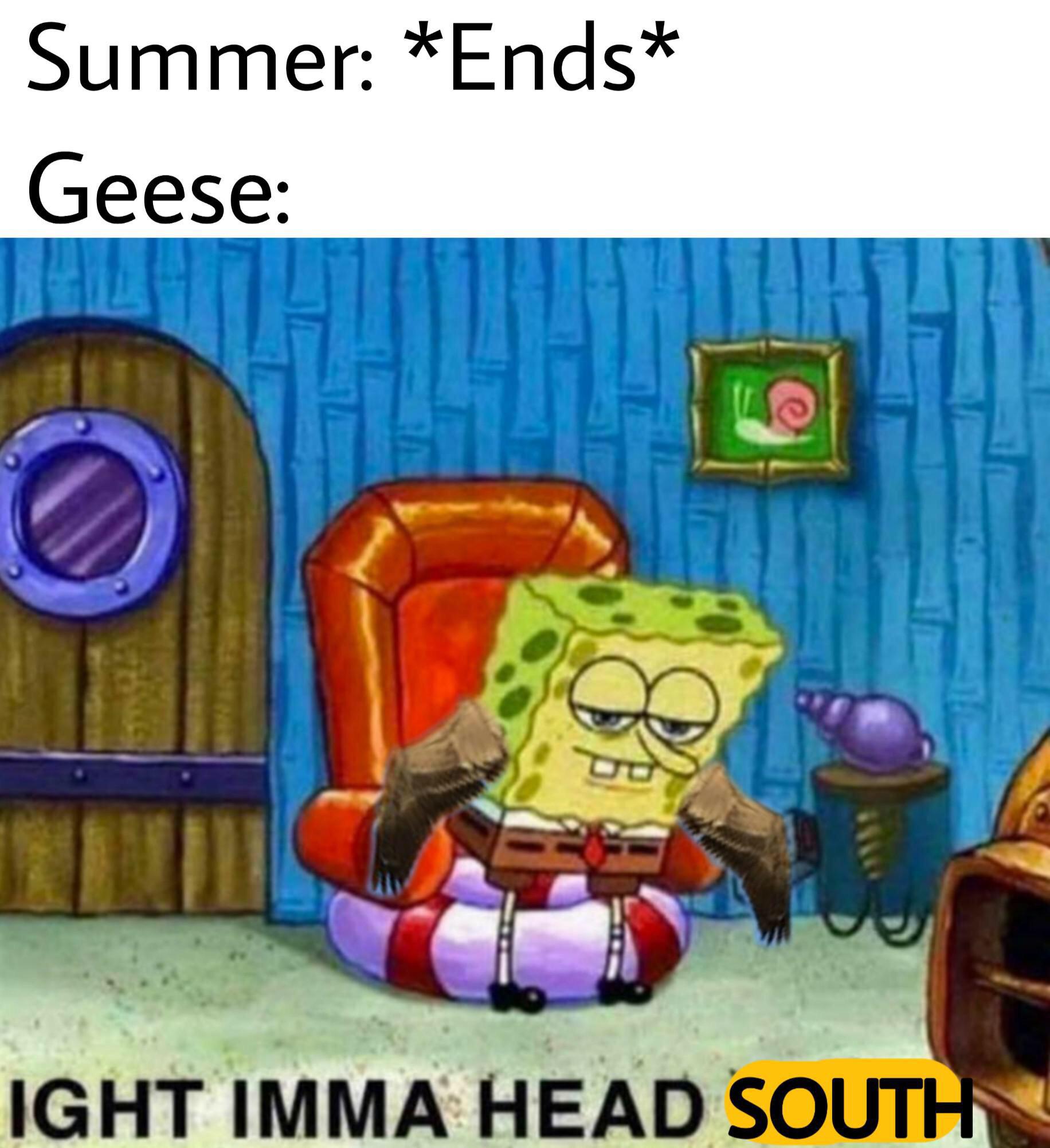 We can dream | Scrolller