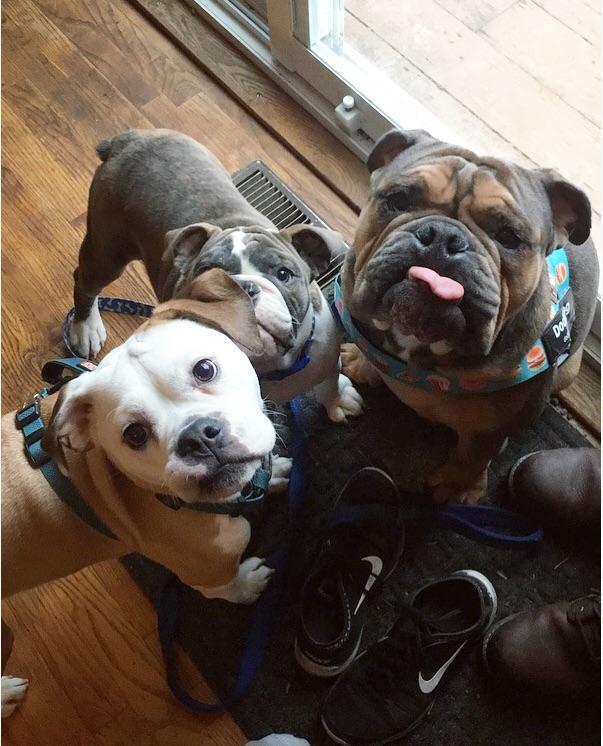 We go on walkies now? | Scrolller