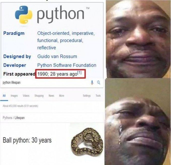 We gonna miss You python | Scrolller