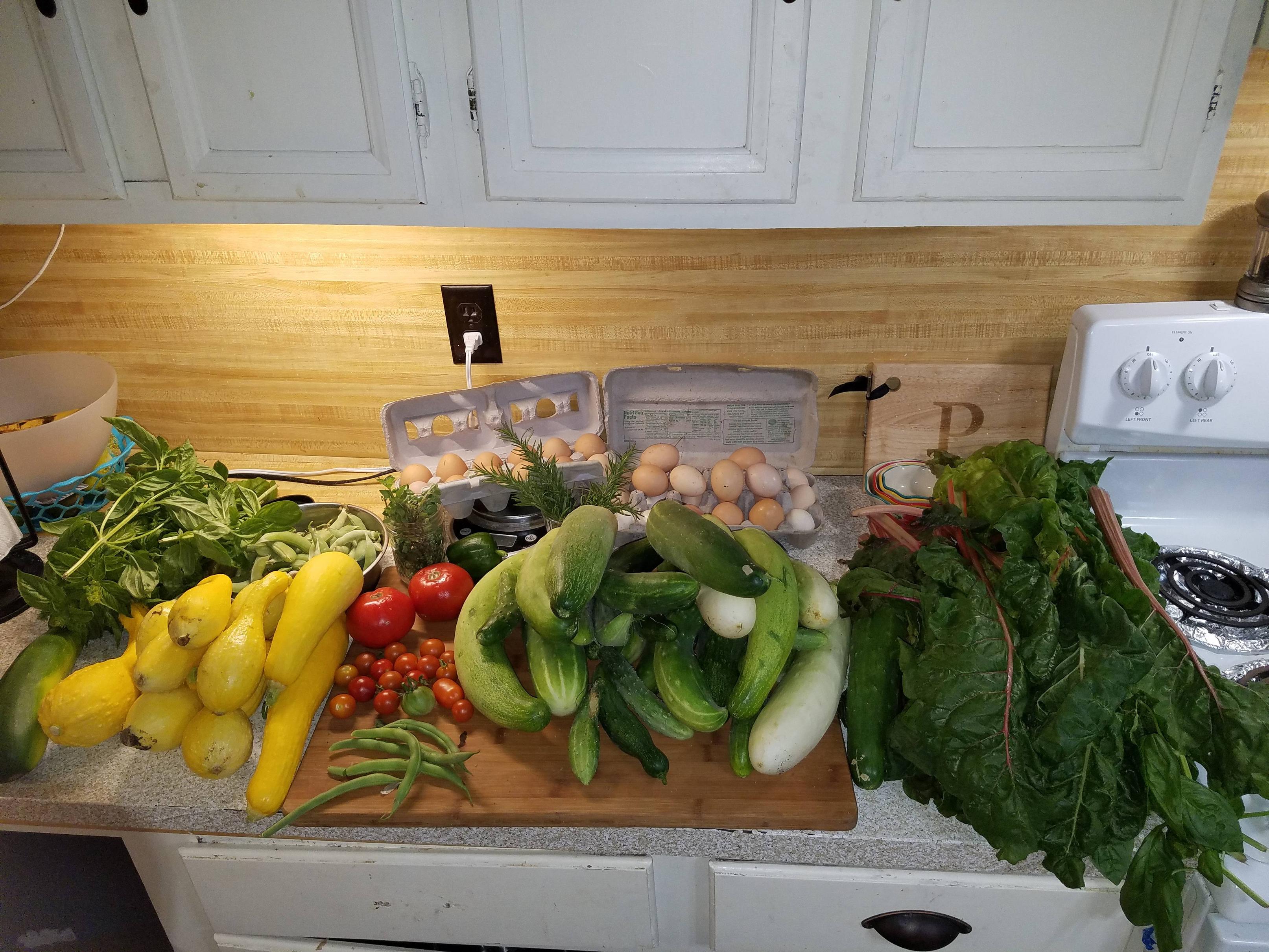 We left for a couple days and came back to find the garden ready to pick. | Scrolller