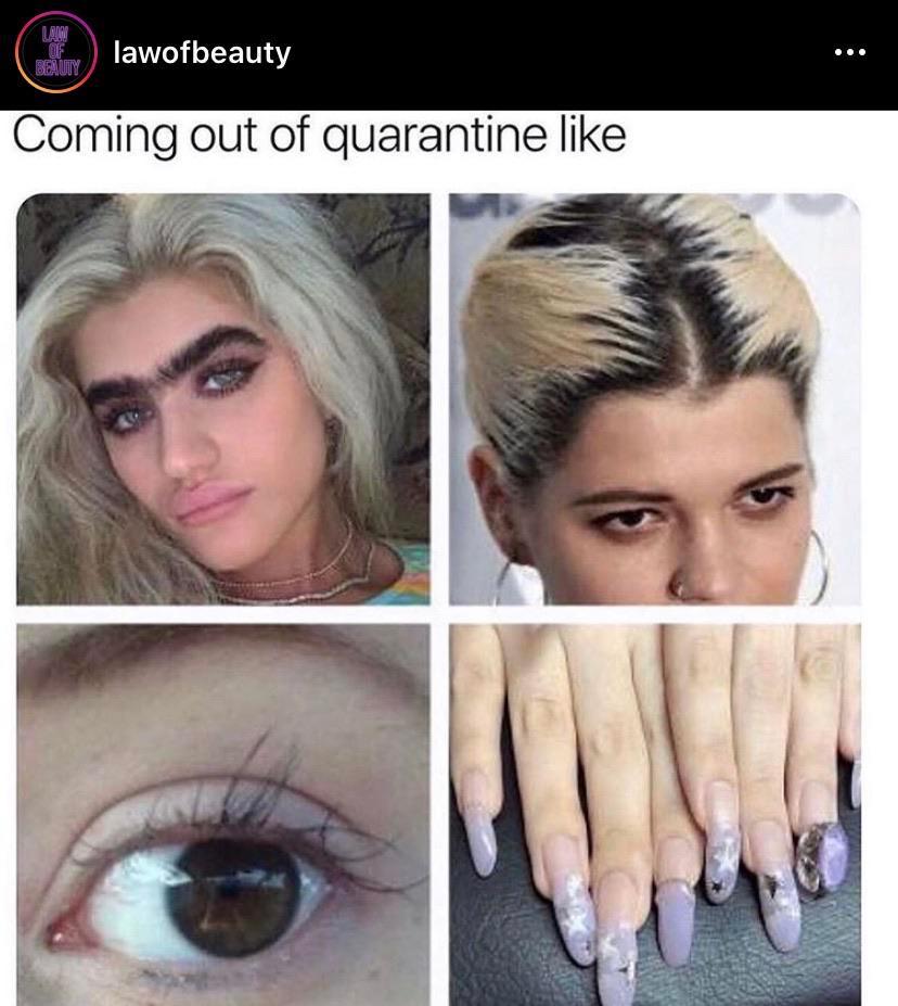 We need more quarantine beauty memes 😂 | Scrolller