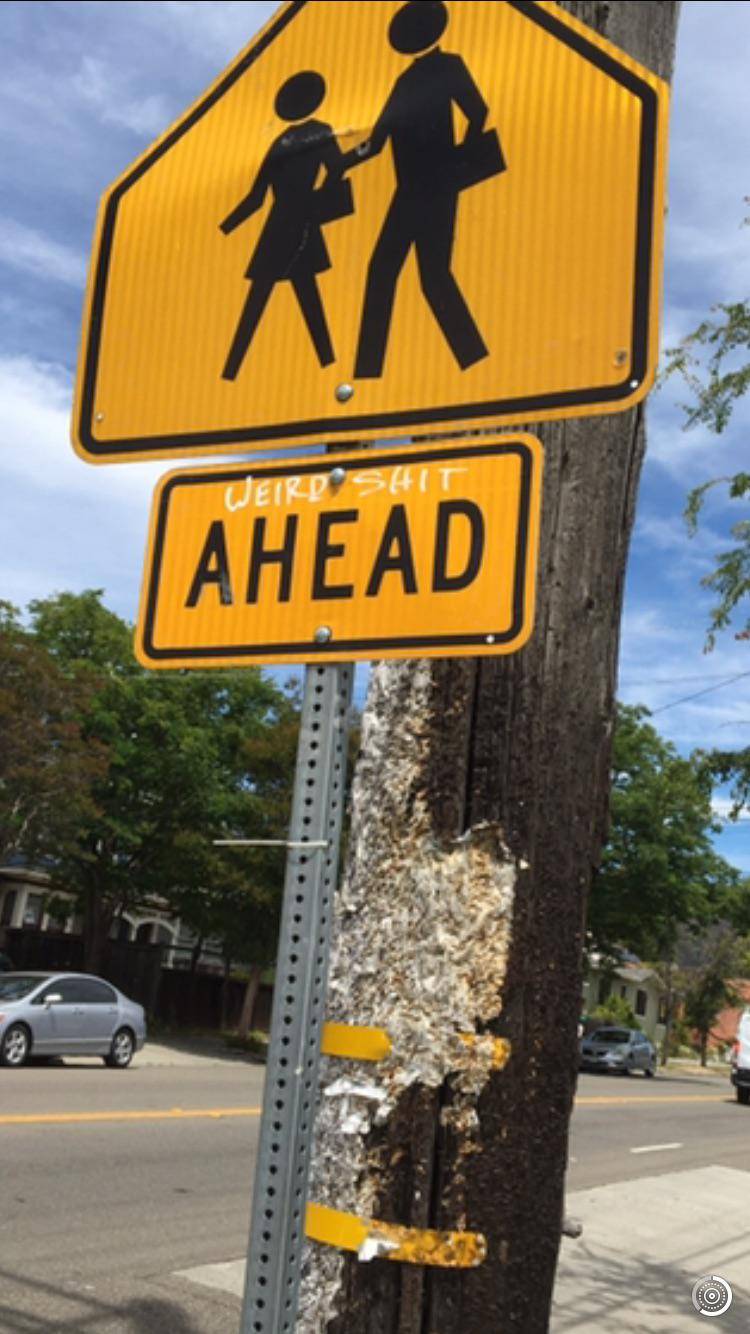 Weird shit ahead | Scrolller