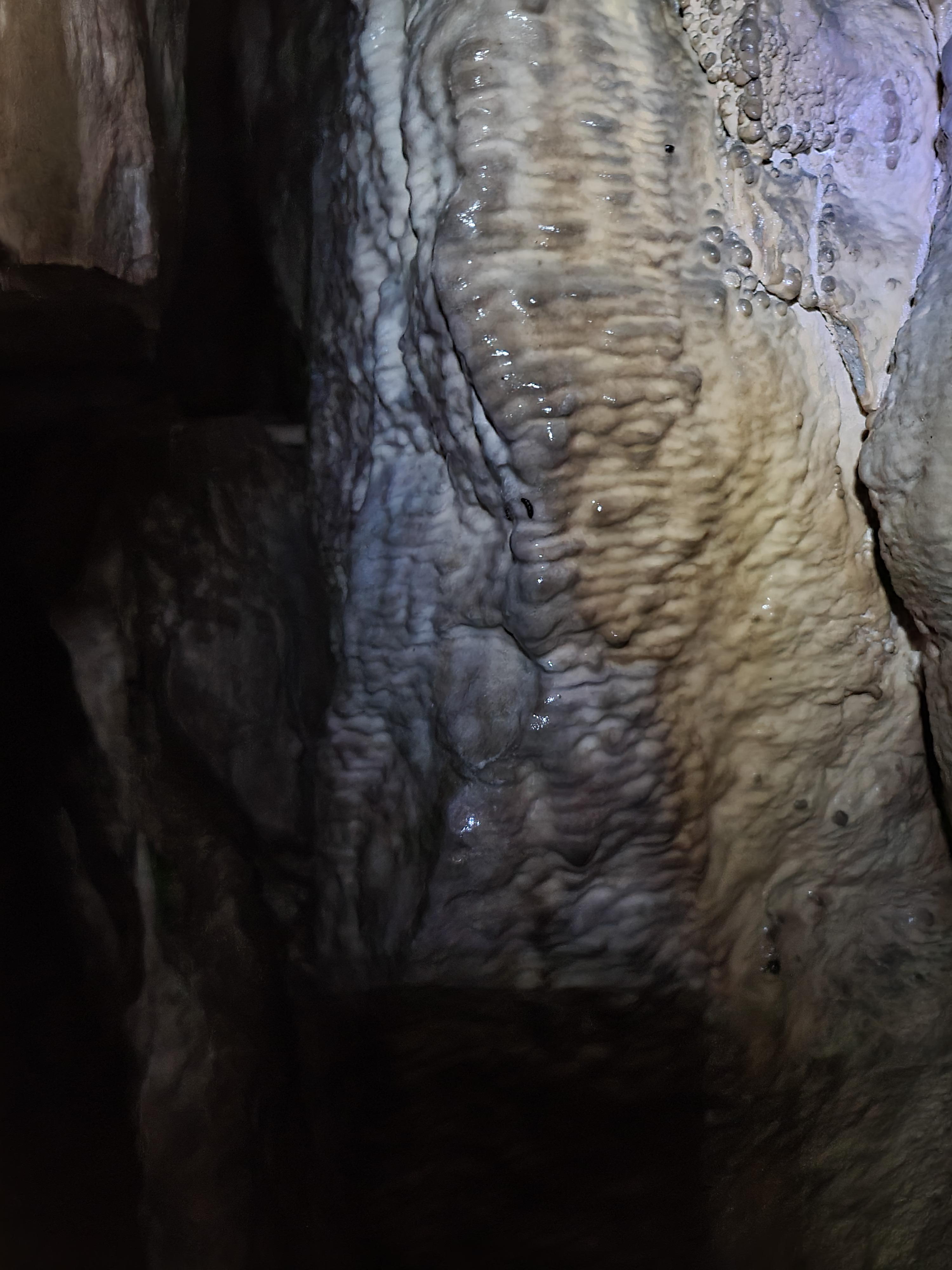 Weird substance on cave wall | Scrolller