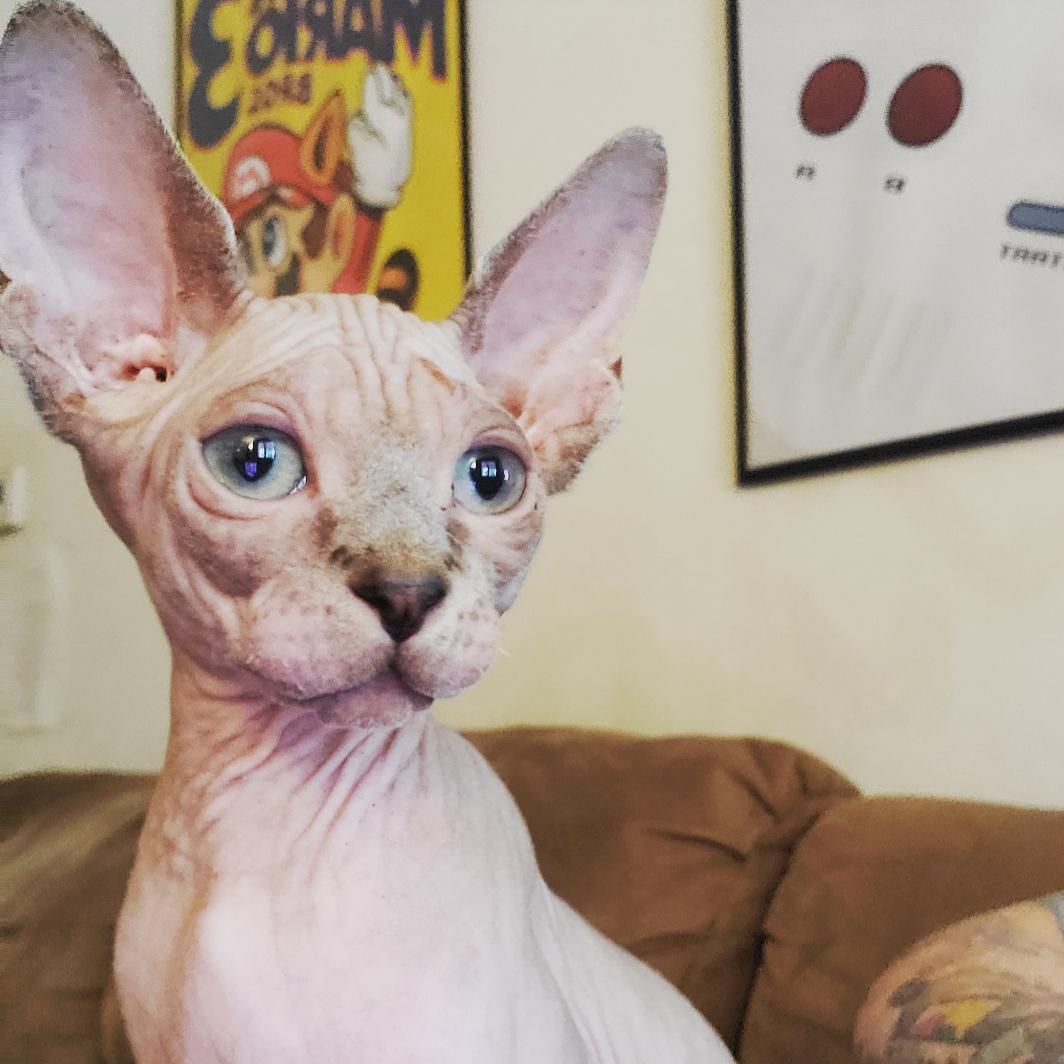 Welcome home Ember ♡ | Scrolller